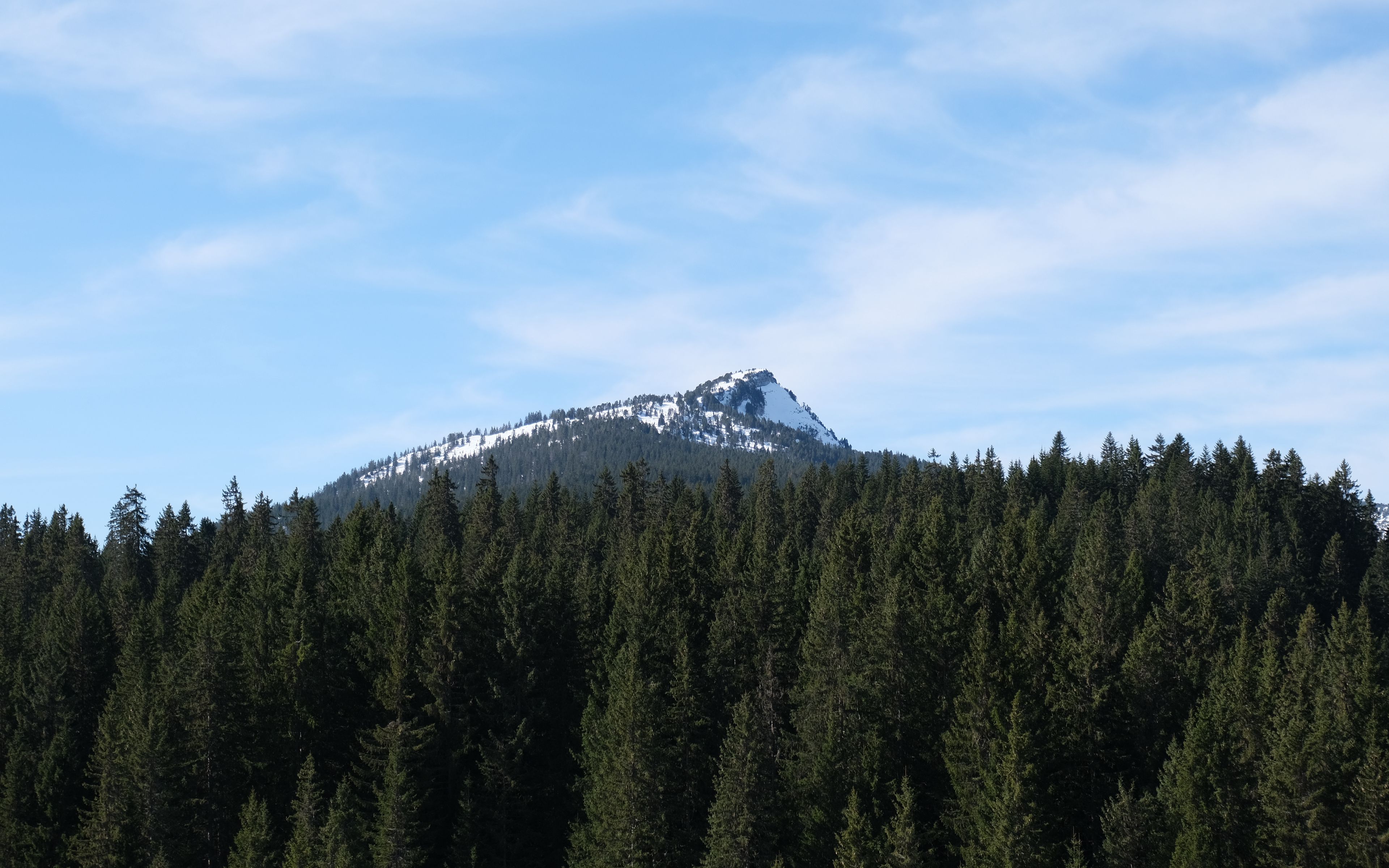 Download wallpaper 3840x2400 mountain, snow, trees, forest, landscape ...