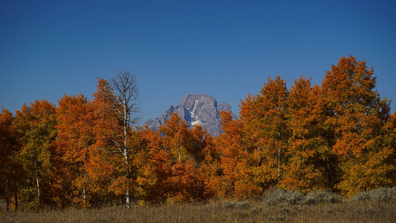 Wallpaper mountain, trees, autumn, landscape hd, picture, image