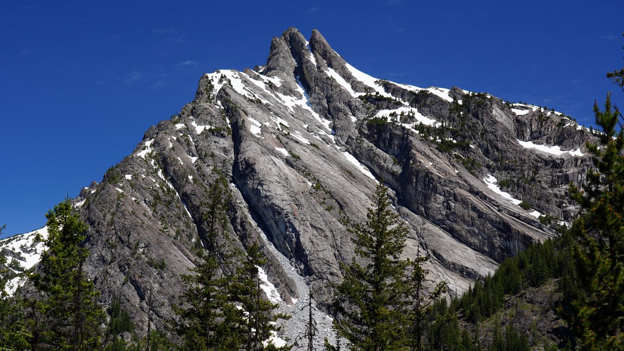 Wallpaper mountain, trees, forest, nature, landscape hd, picture, image
