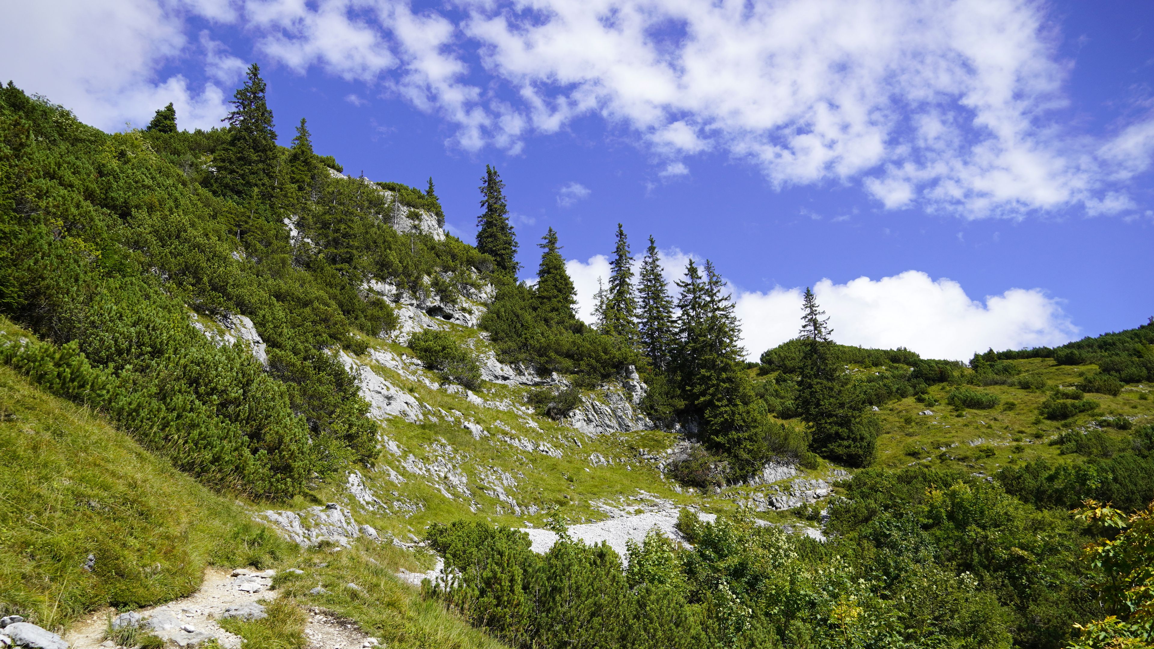 Download wallpaper 3840x2160 mountain, trees, nature, landscape 4k uhd ...