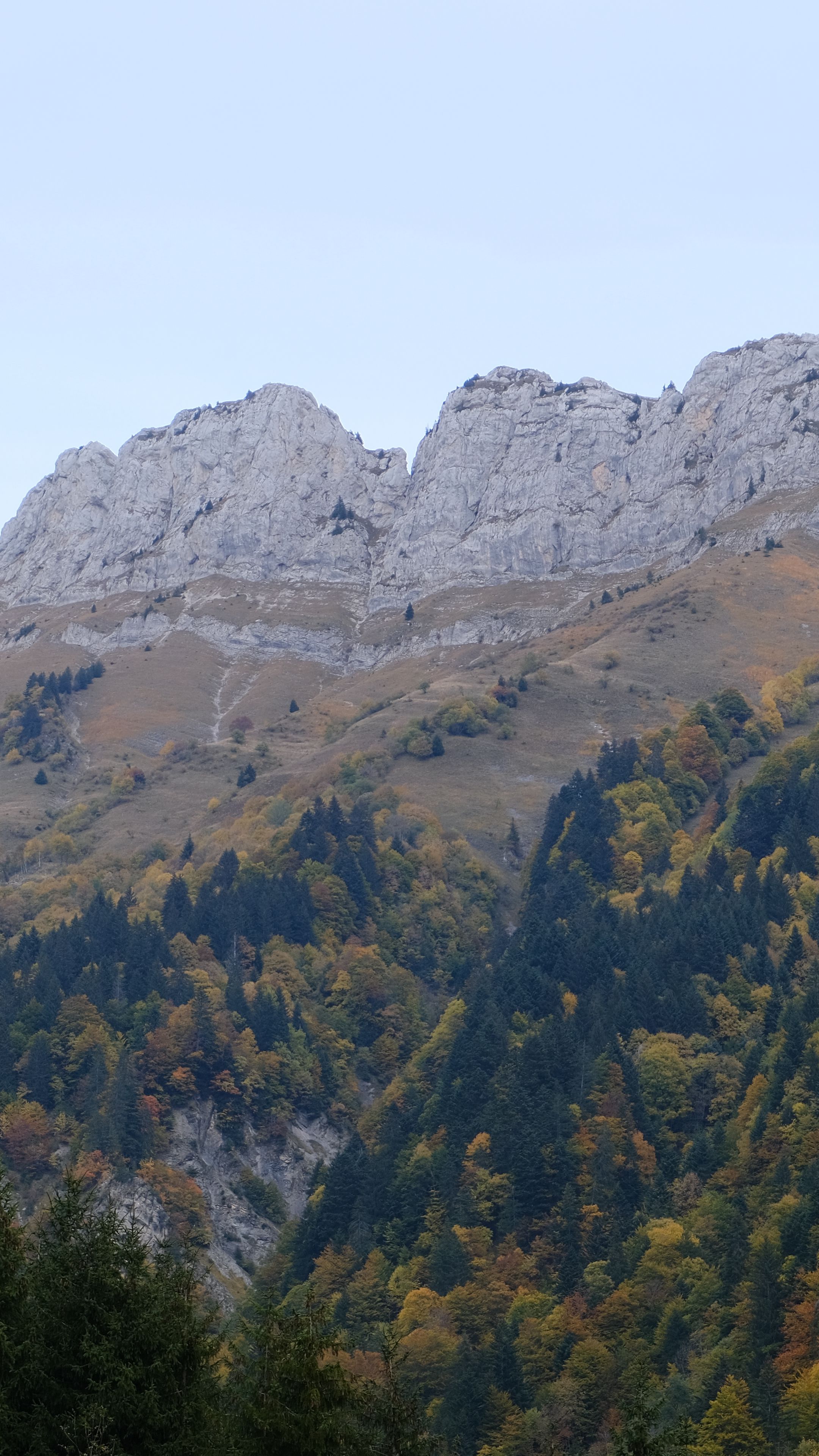 Download wallpaper 2160x3840 mountain, trees, slope, relief samsung ...