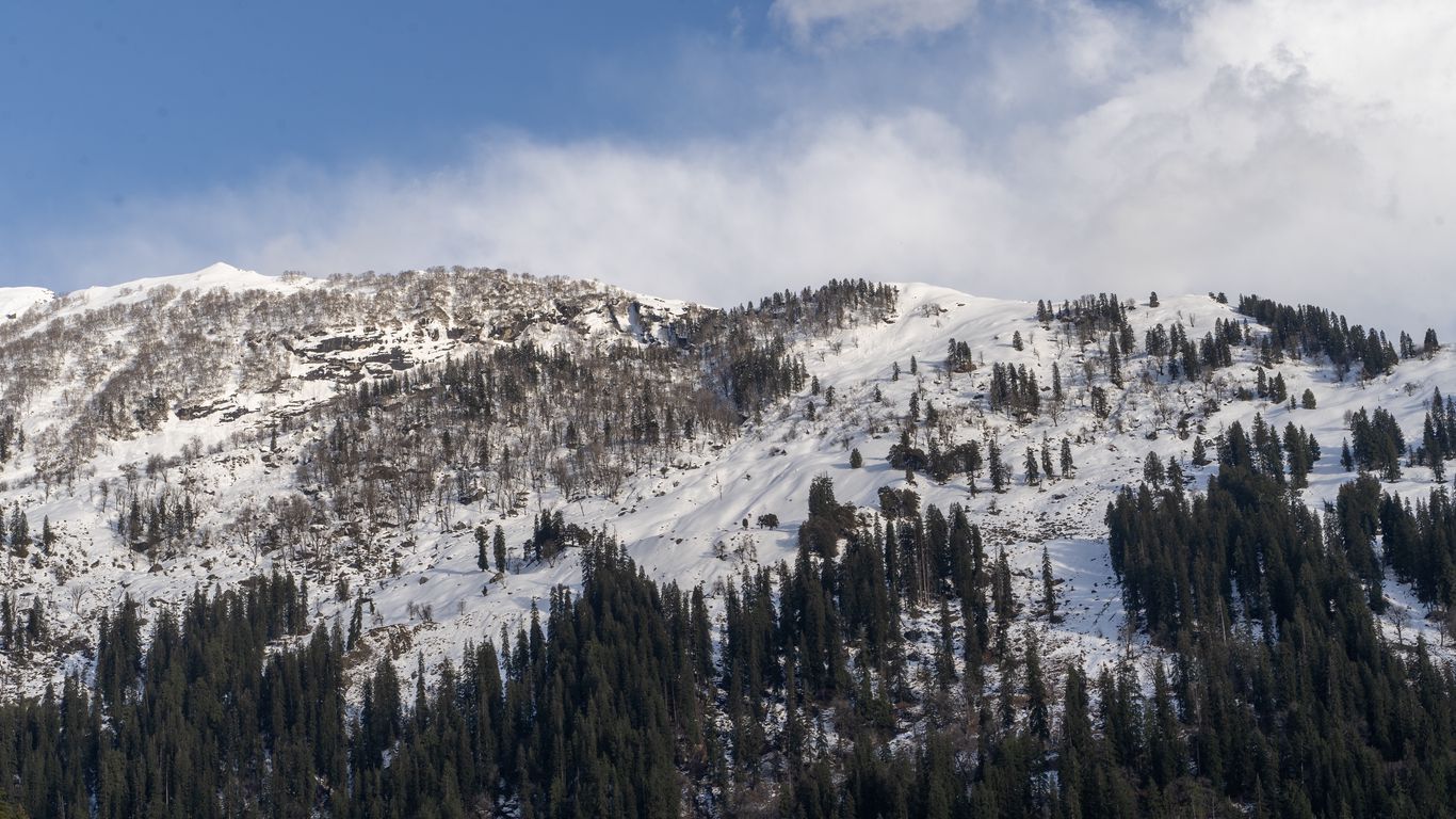 Download wallpaper 1366x768 mountain, trees, slope, snow, landscape ...