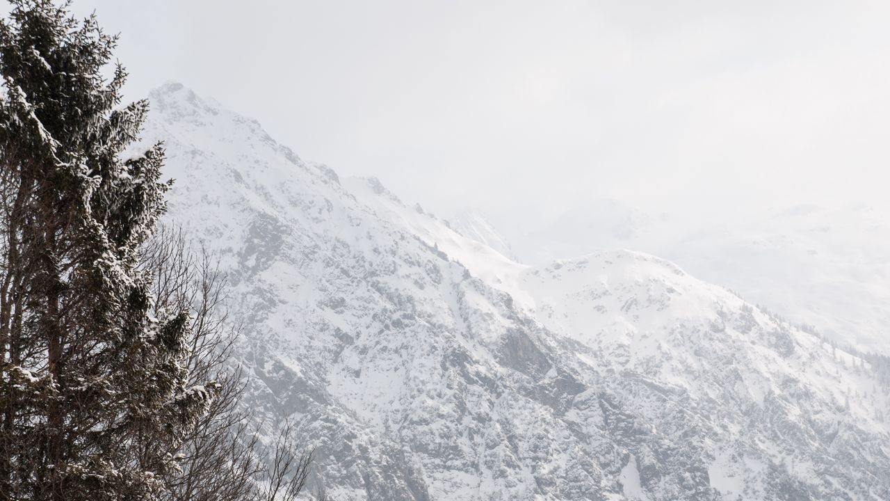Wallpaper mountain, trees, snow, slope, winter hd, picture, image