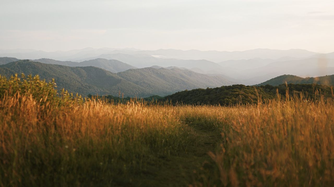 Wallpaper mountains, field, valley, fog, nature hd, picture, image