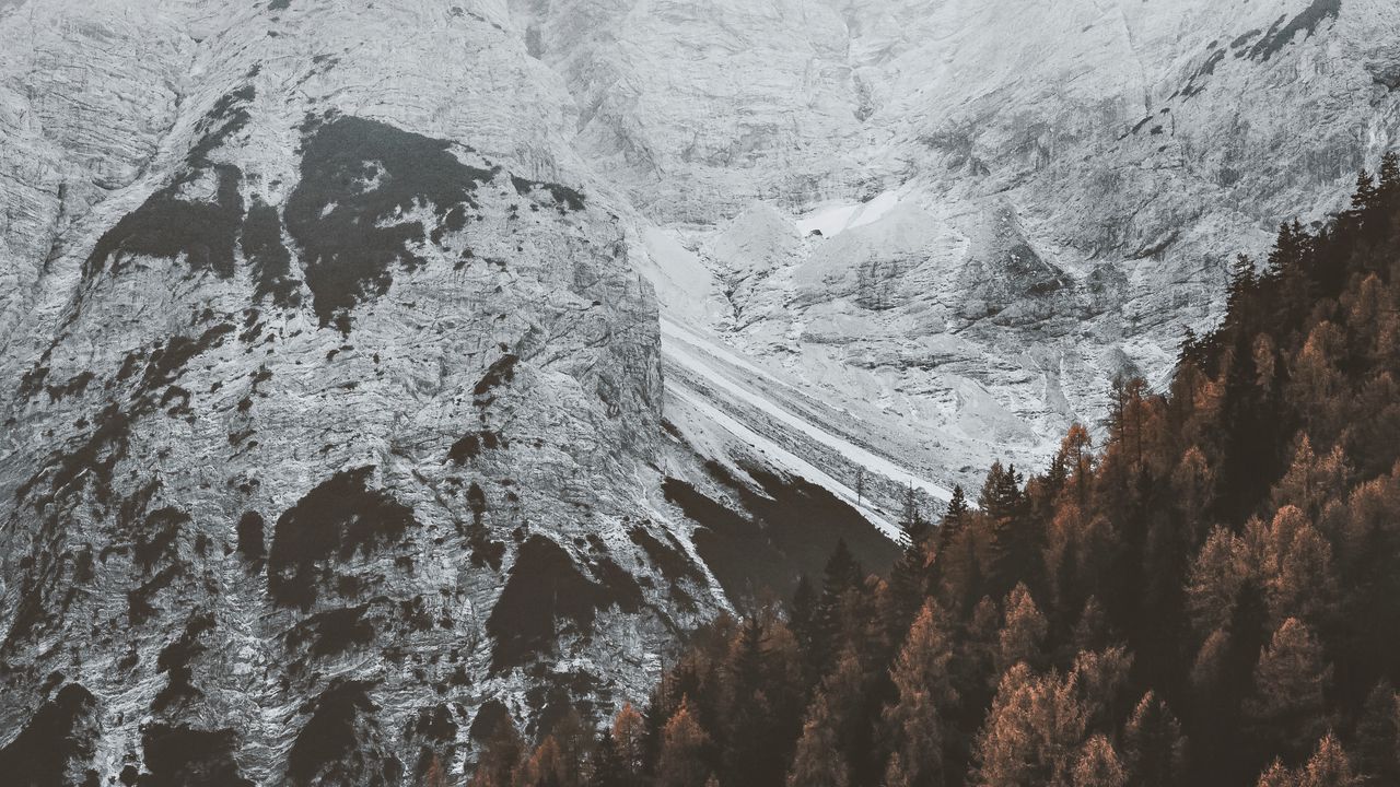 Wallpaper mountains, fog, forest, snow, snowy hd, picture, image