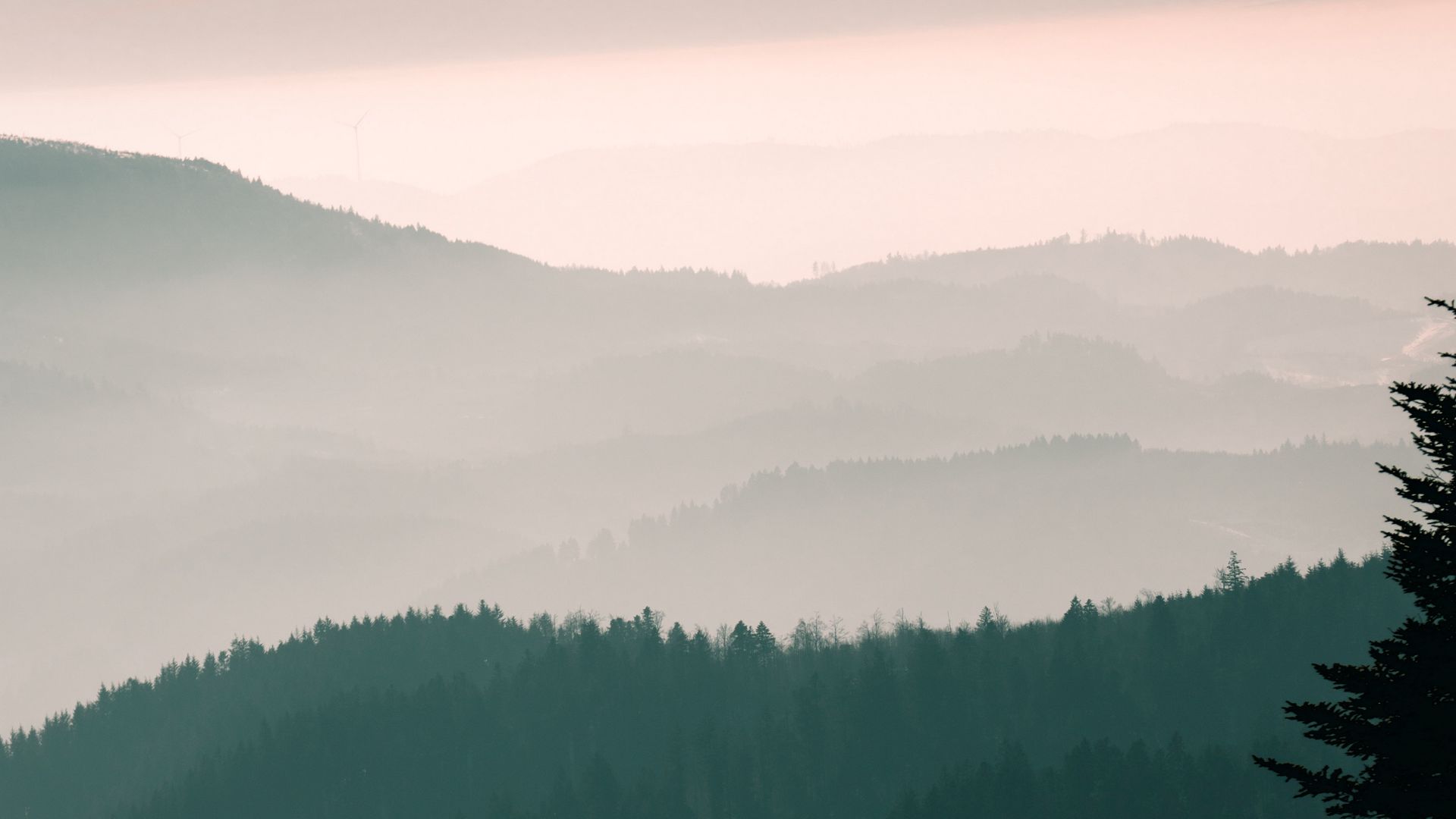 Download wallpaper 1920x1080 mountains, fog, sky, trees, dawn full hd ...