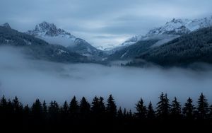 Wallpaper mountains, fog, trees hd, picture, image