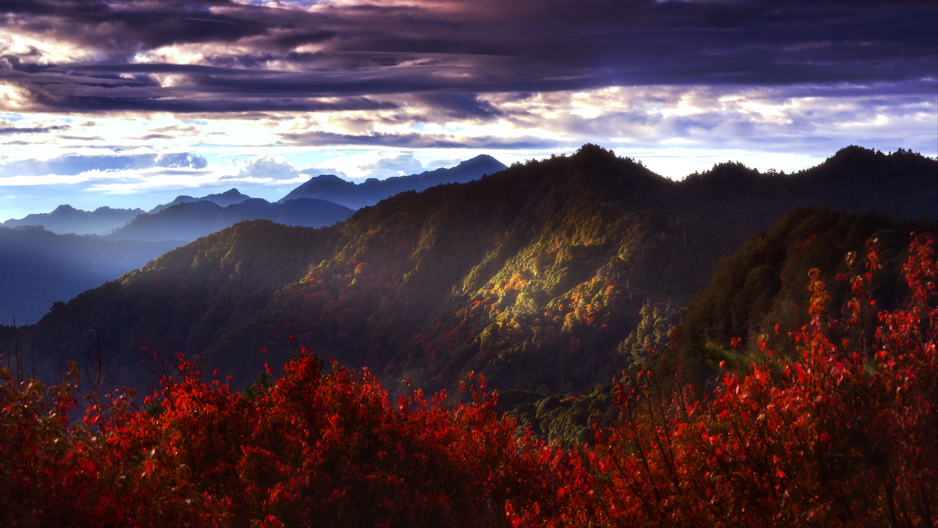 Download wallpaper 3840x2160 mountains, forest, bushes 4k uhd 16:9 hd ...
