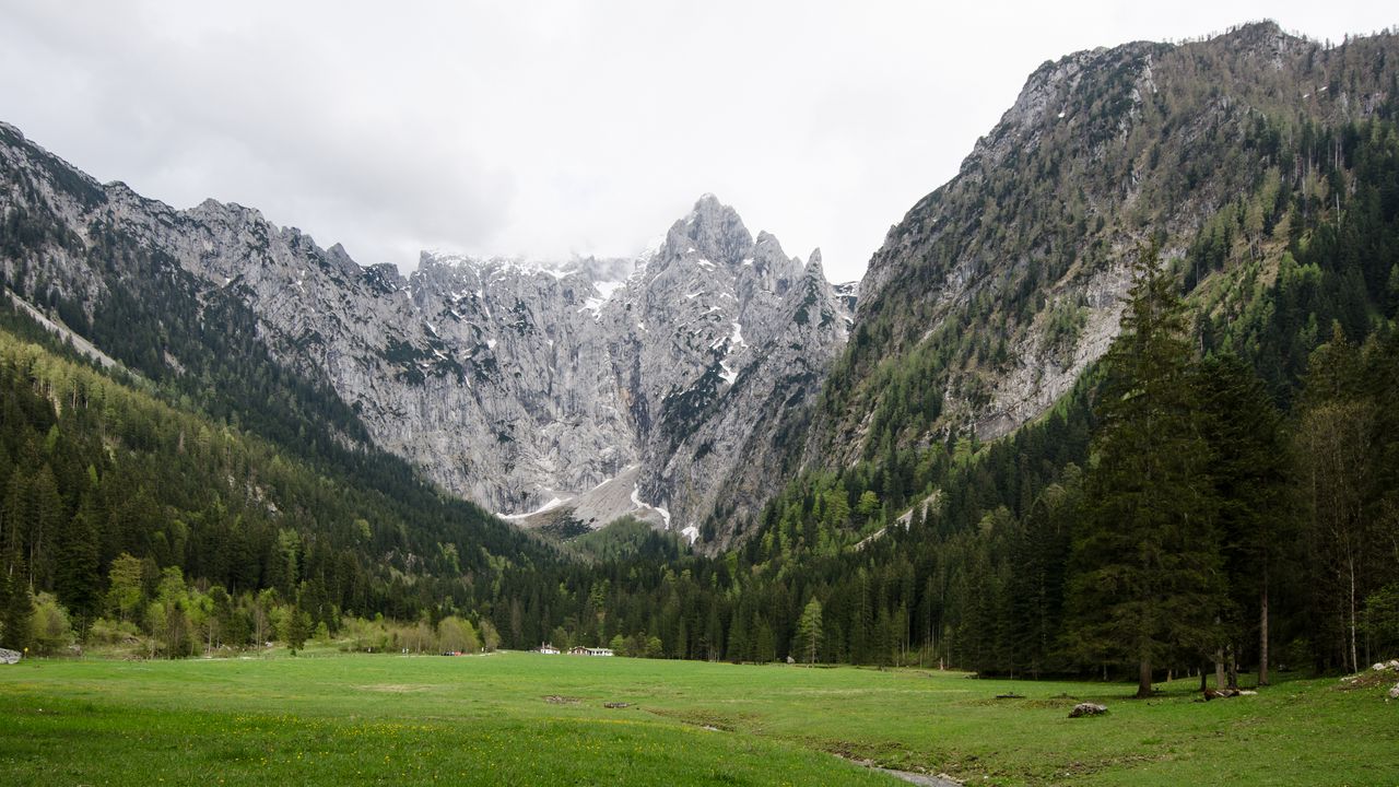 Wallpaper mountains, forest, field, nature, landscape hd, picture, image