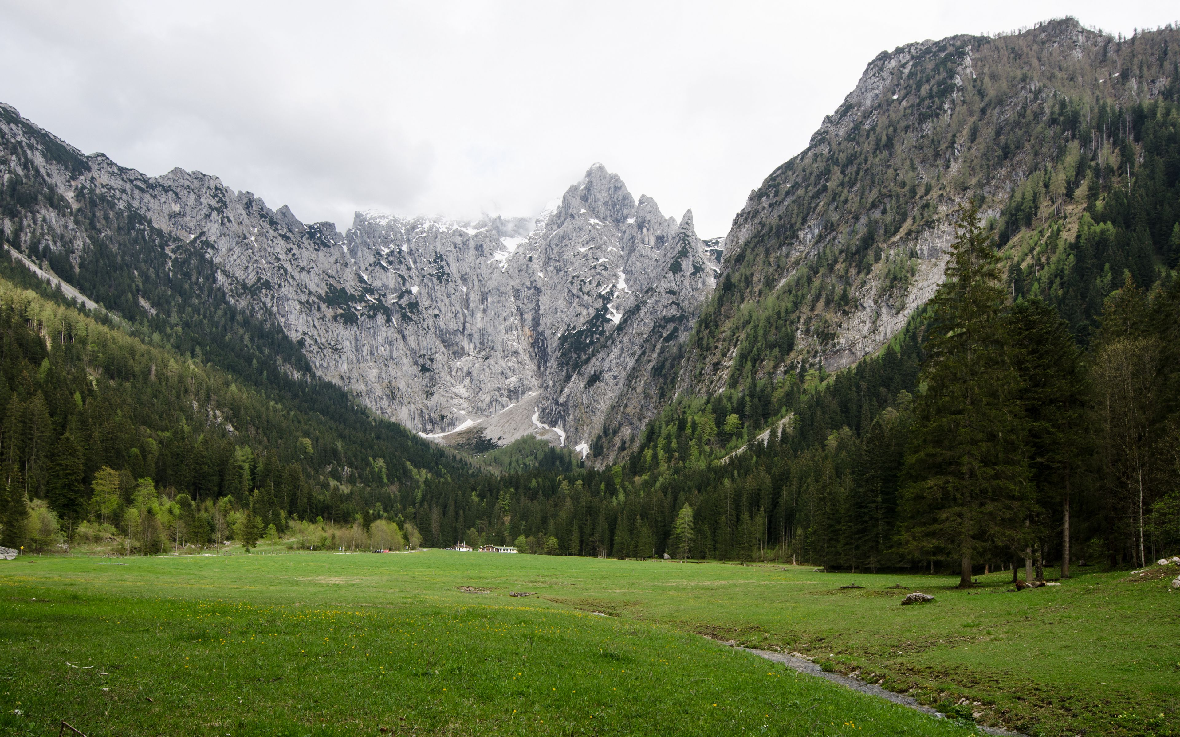 Download wallpaper 3840x2400 mountains, forest, field, nature ...