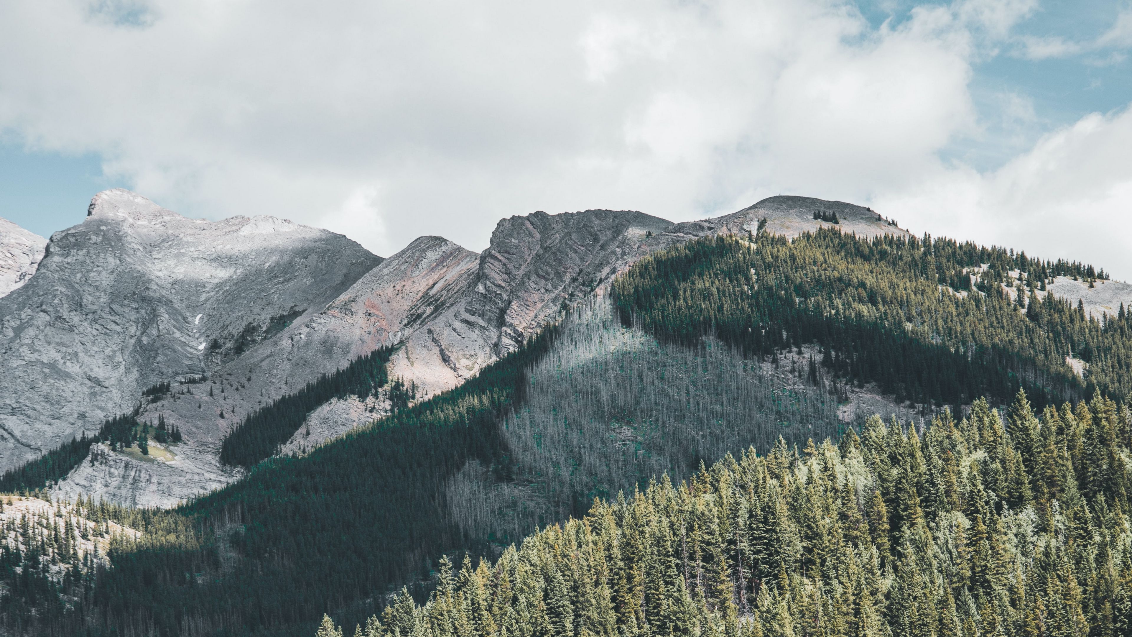 Download wallpaper 3840x2160 mountains, forest, trees, lake, water 4k ...