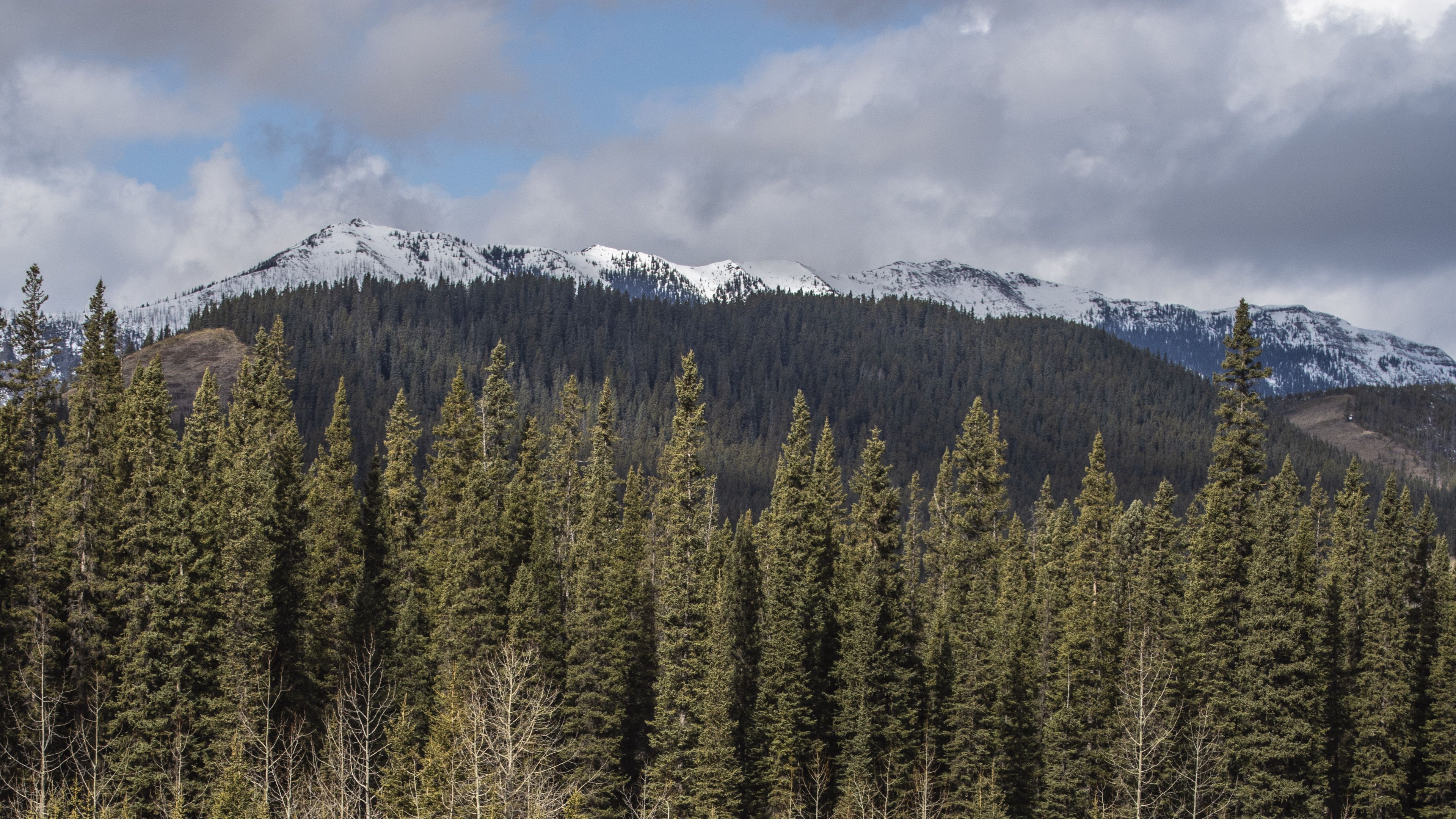 Download wallpaper 3840x2160 mountains, forest, trees, nature 4k uhd 16 ...