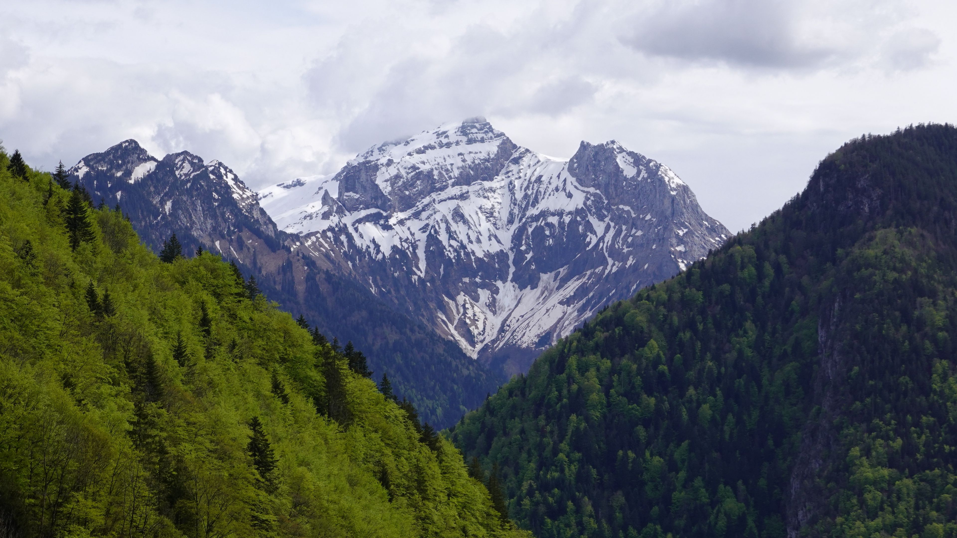 Download wallpaper 3840x2160 mountains, forest, trees, landscape 4k uhd ...