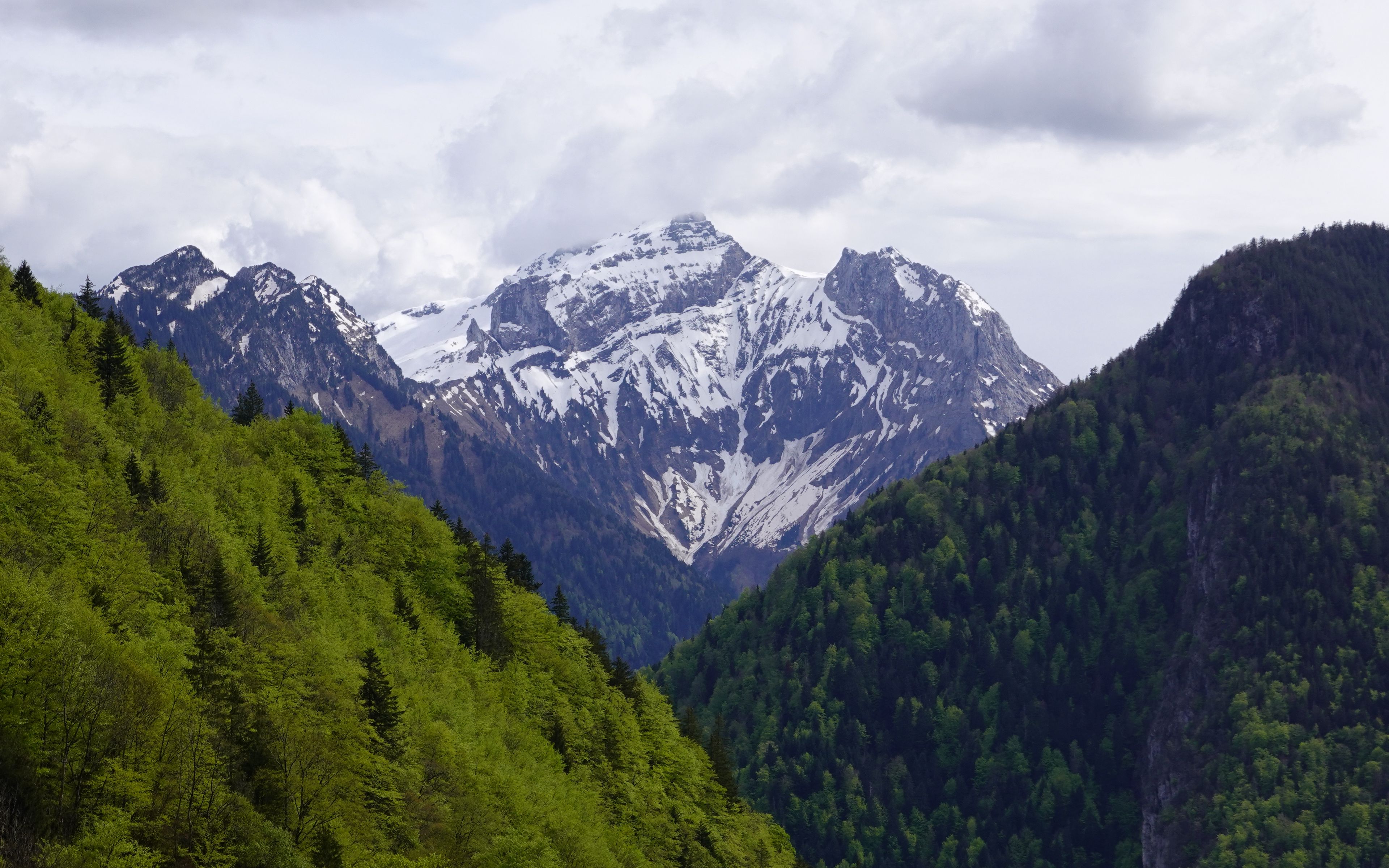 Download wallpaper 3840x2400 mountains, forest, trees, landscape 4k ...