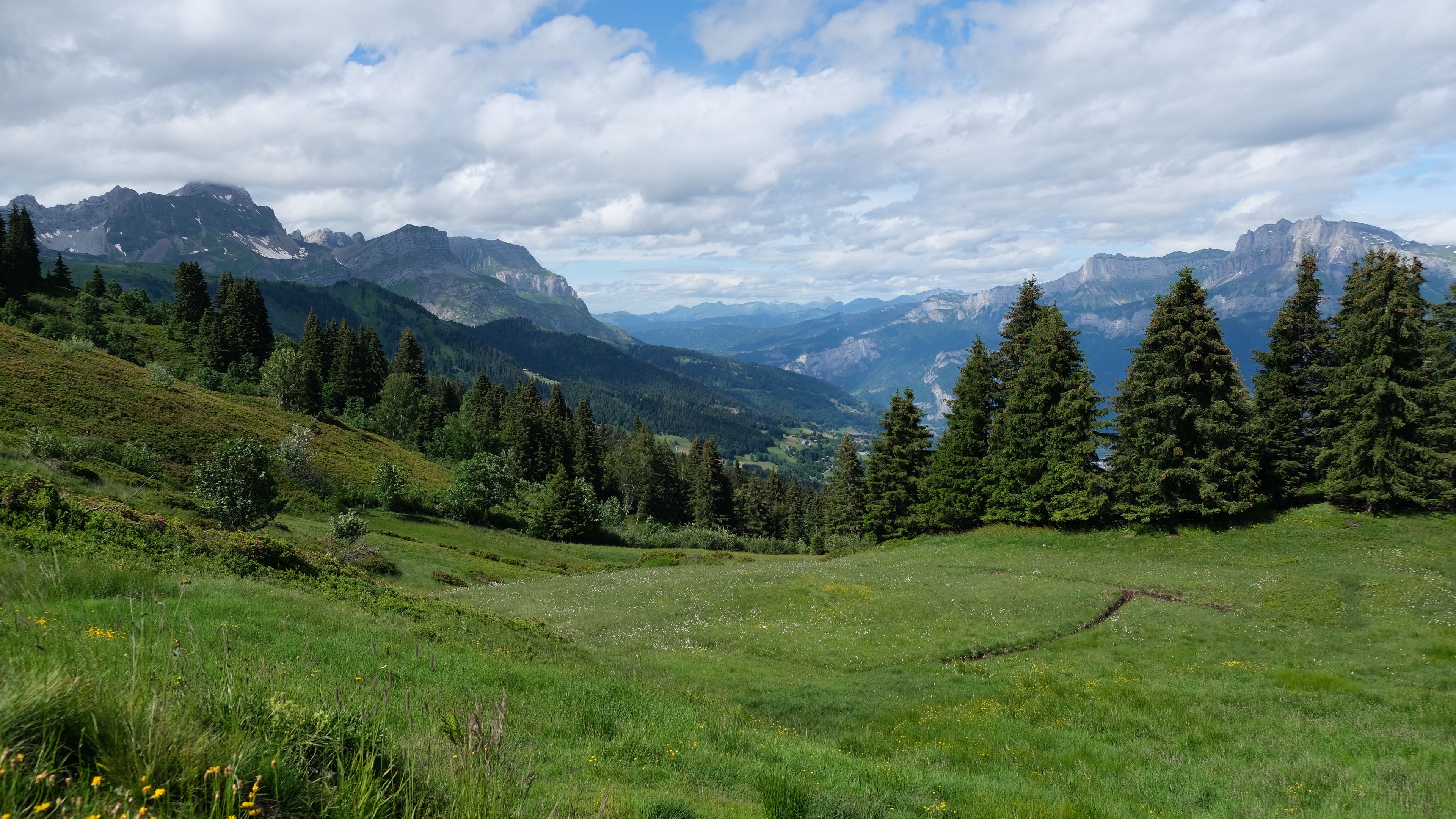 Download wallpaper 3840x2160 mountains, forest, trees, field, landscape ...