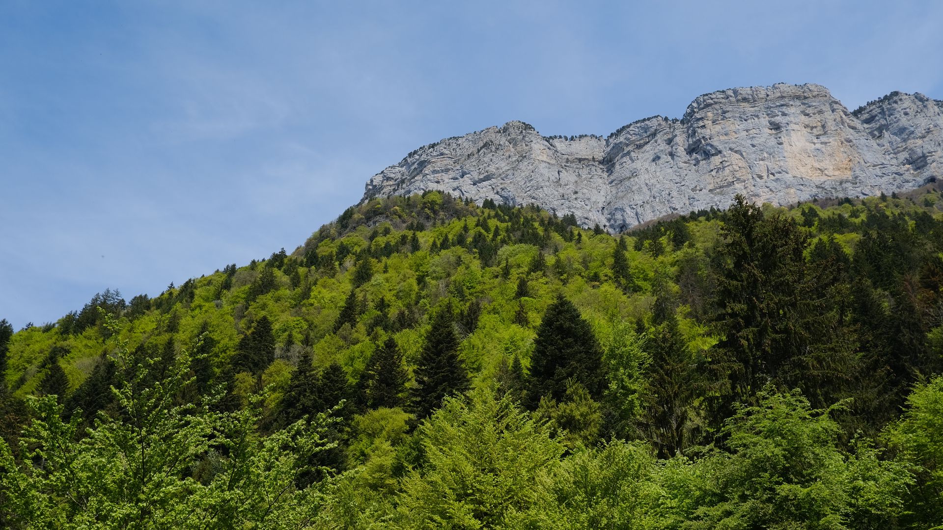 Download wallpaper 1920x1080 mountains, landscape, slope, trees full hd ...