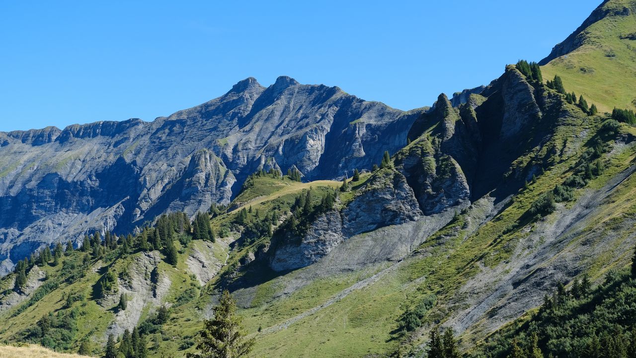 Wallpaper mountains, relief, trees, nature, landscape hd, picture, image