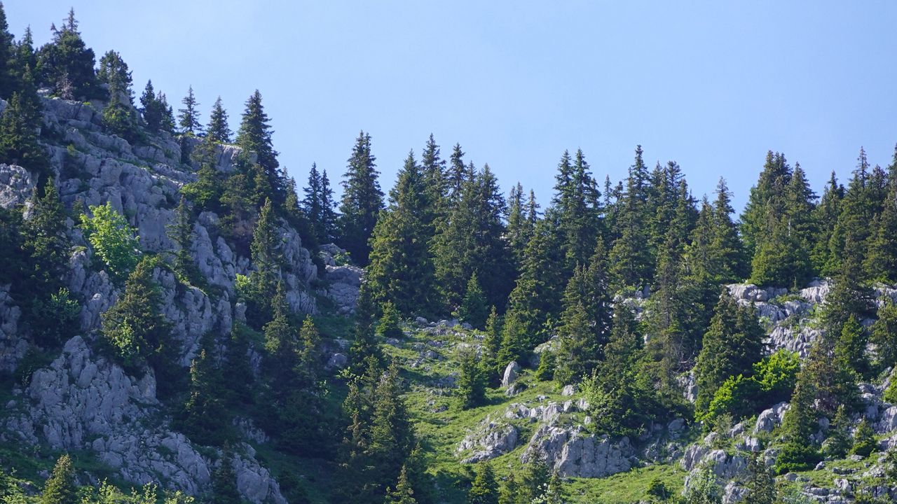 Wallpaper mountains, relief, trees, nature hd, picture, image