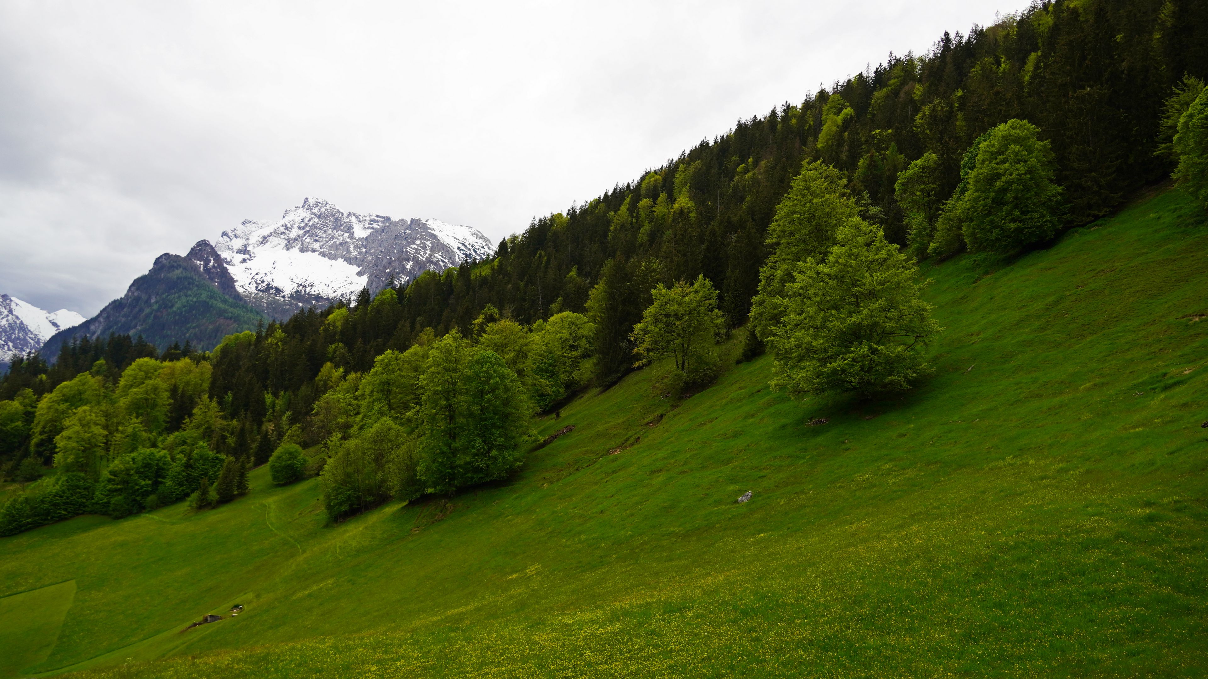 Download wallpaper 3840x2160 mountains, slope, trees, forest, landscape ...