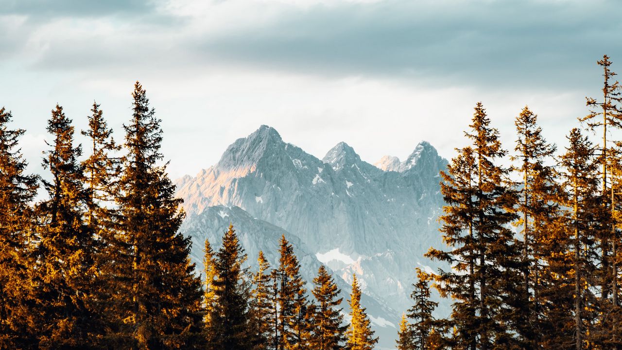 Wallpaper mountains, spruce, trees, sky, clouds hd, picture, image