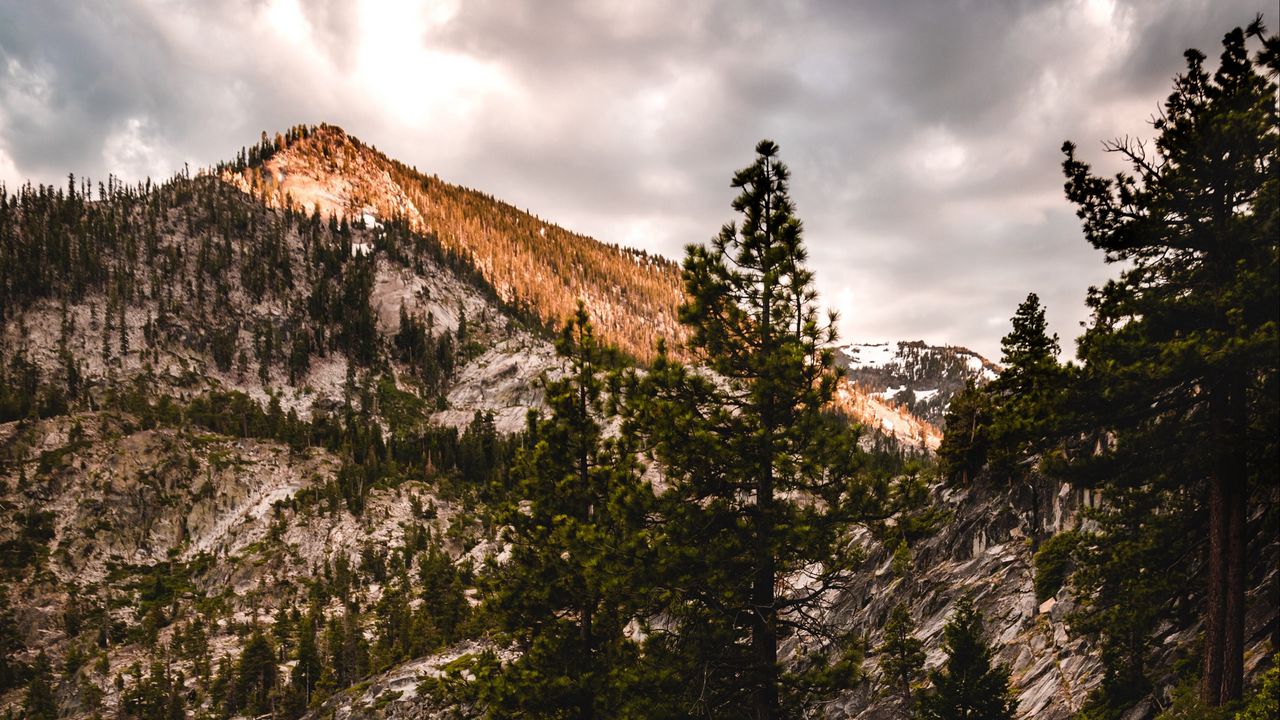 Wallpaper mountains, trees, bushes, path, nature hd, picture, image