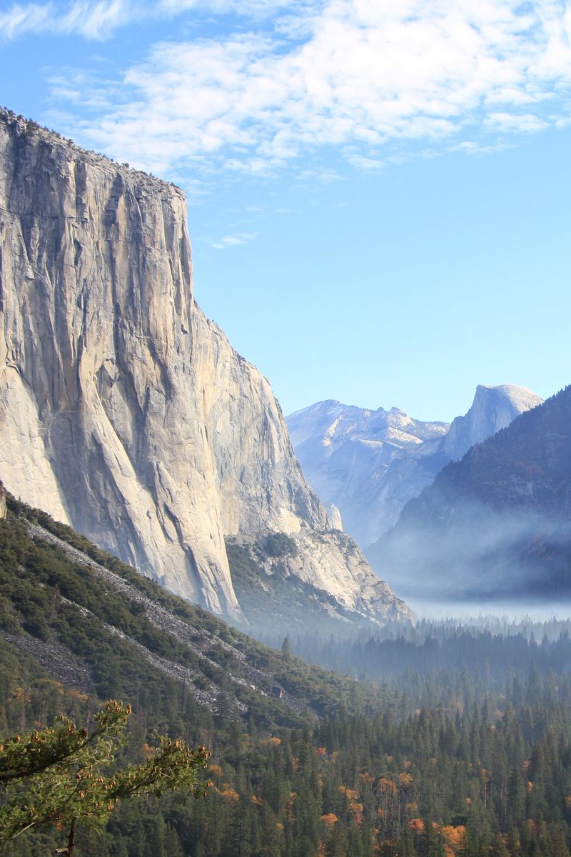 Download wallpaper 800x1200 mountains, trees, fog, nature, landscape ...