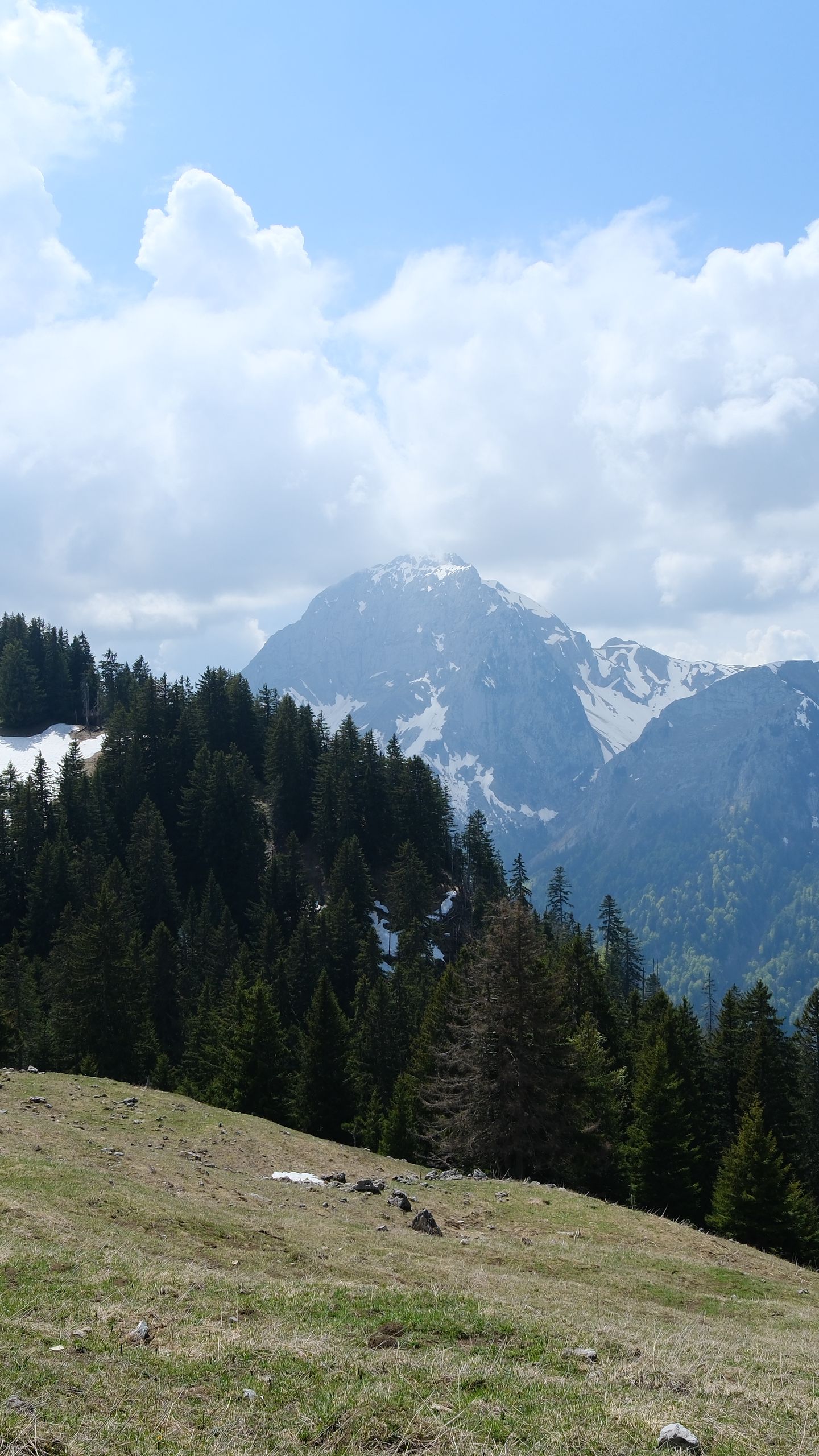 Download wallpaper 1440x2560 mountains, trees, forest, clouds, sky ...