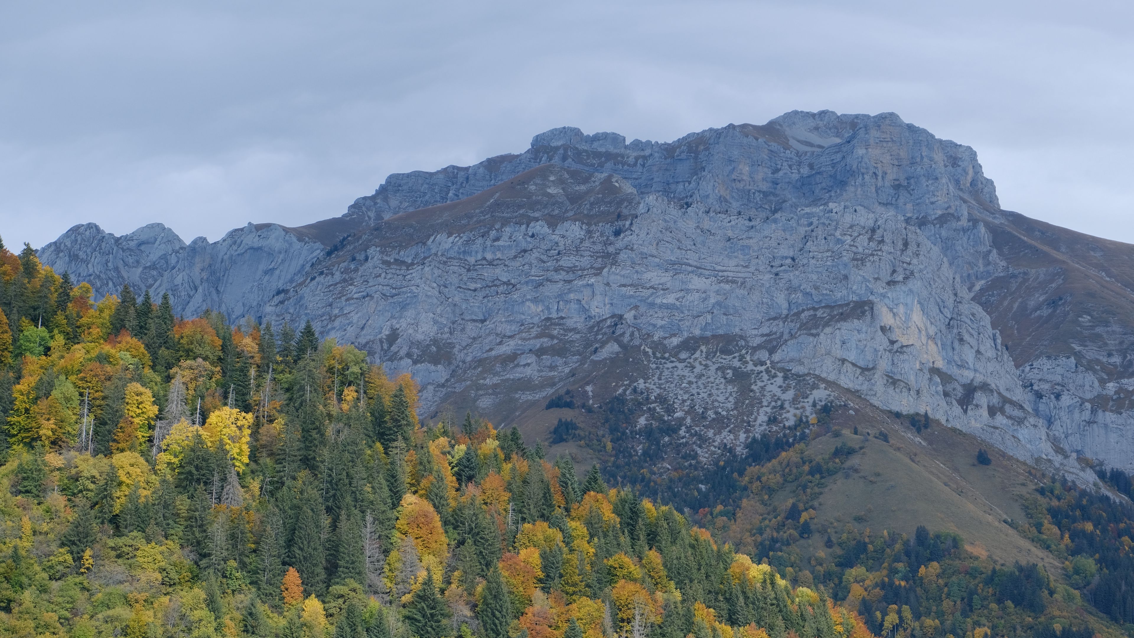 Download wallpaper 3840x2160 mountains, trees, forest, slope, nature 4k ...