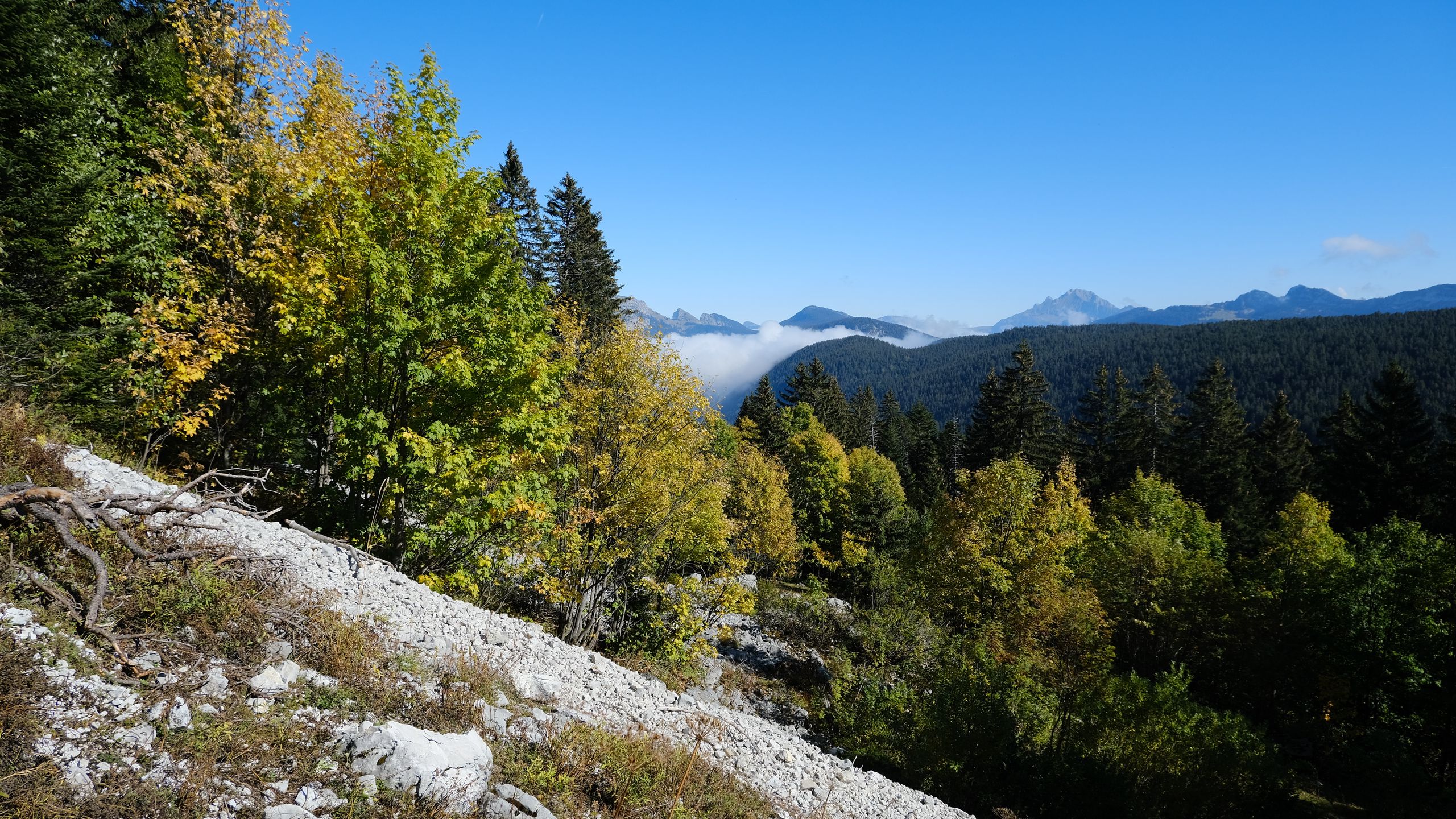 Download wallpaper 2560x1440 mountains, trees, slope, landscape, nature ...