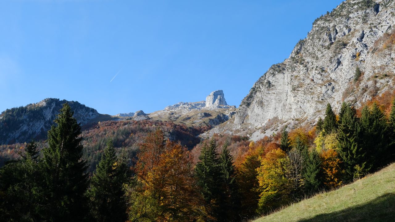 Wallpaper mountains, trees, slope, nature, landscape hd, picture, image