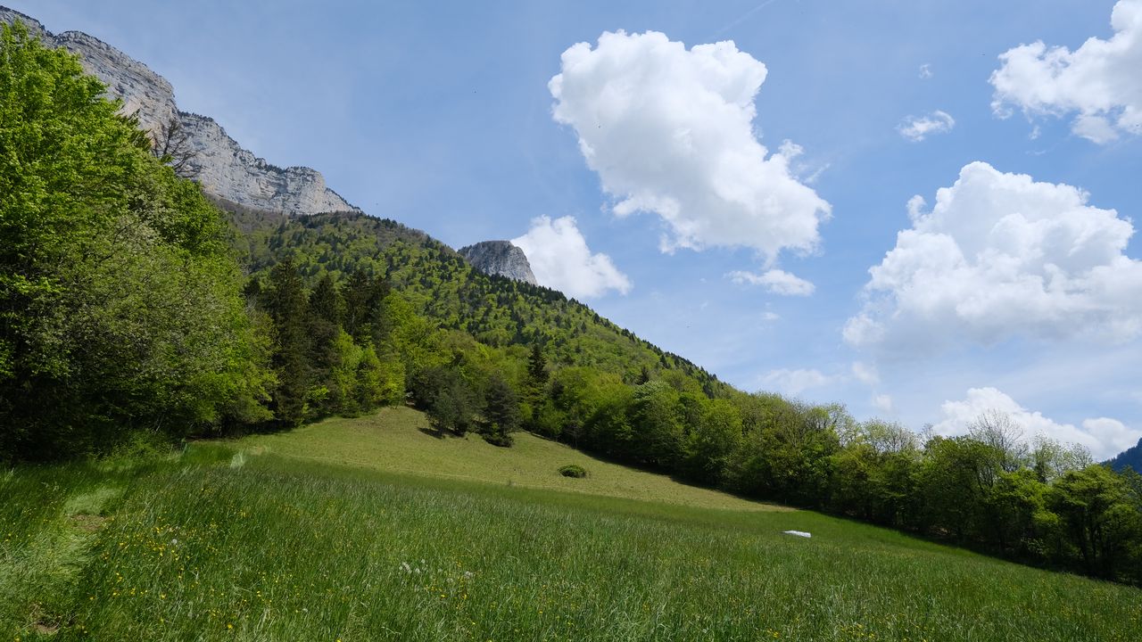 Wallpaper mountains, trees, slope, grass, nature hd, picture, image