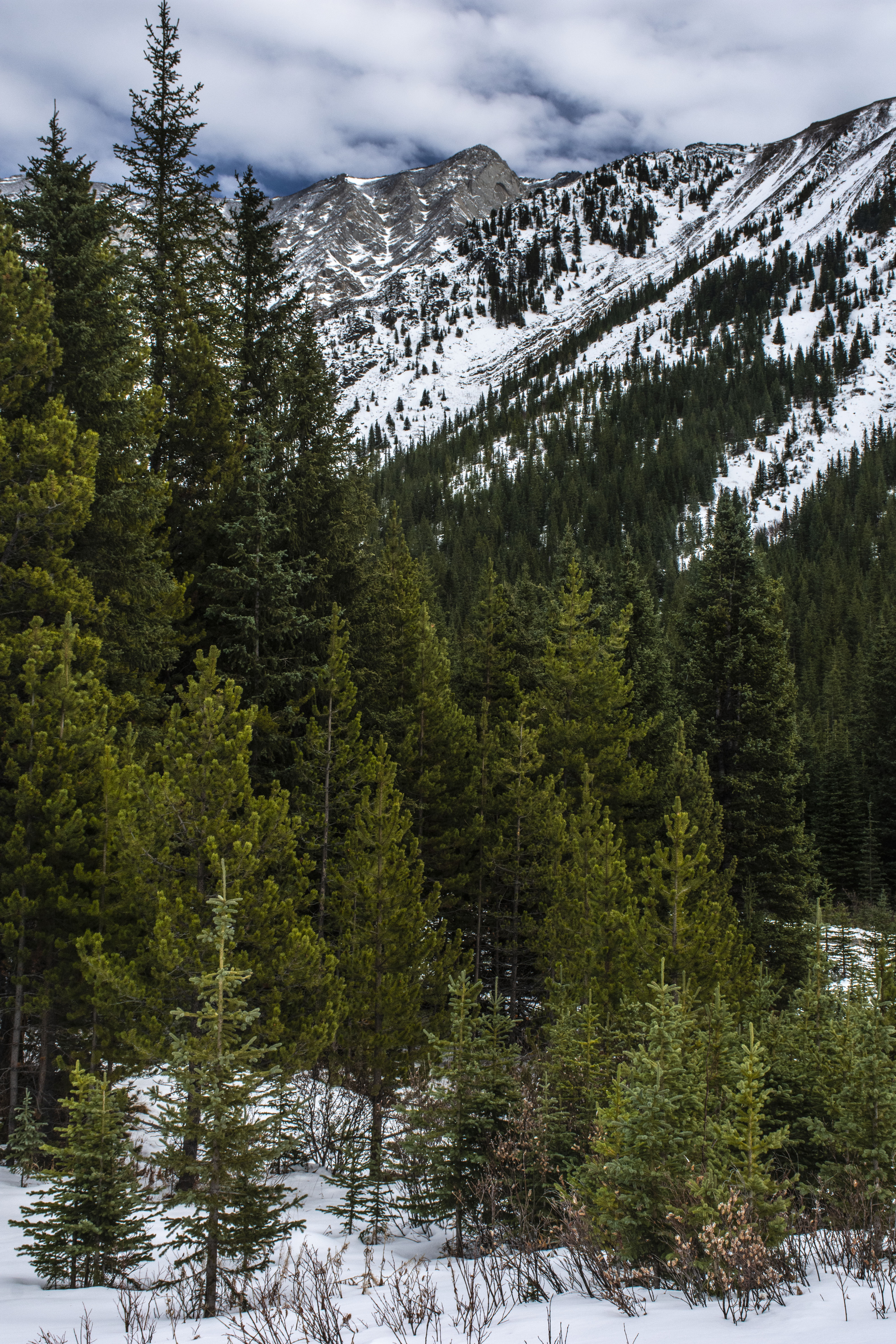 Download wallpaper 4000x6000 mountains, trees, snow, winter, nature hd ...
