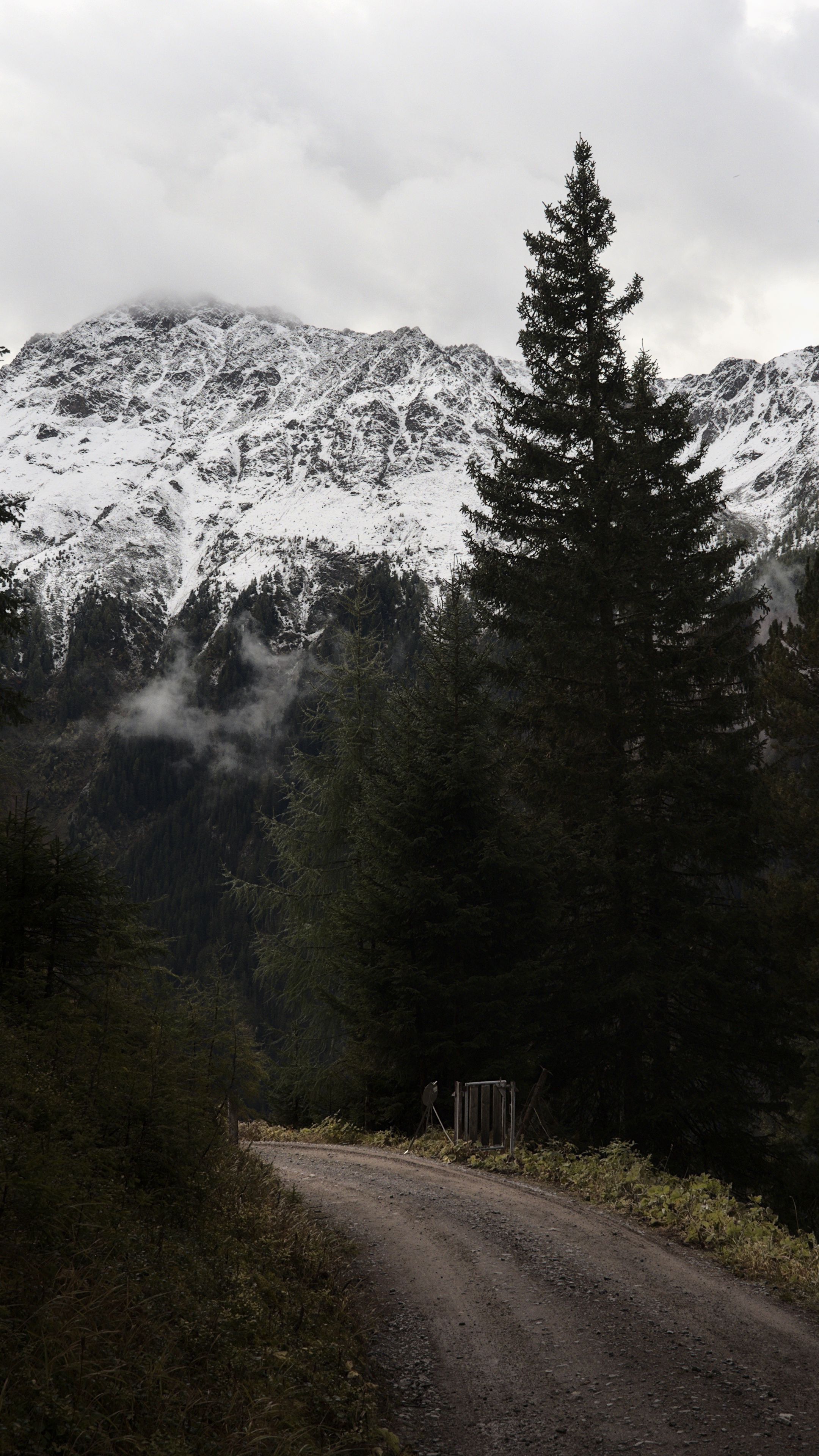 Download wallpaper 2160x3840 mountains, trees, snow, road, landscape ...