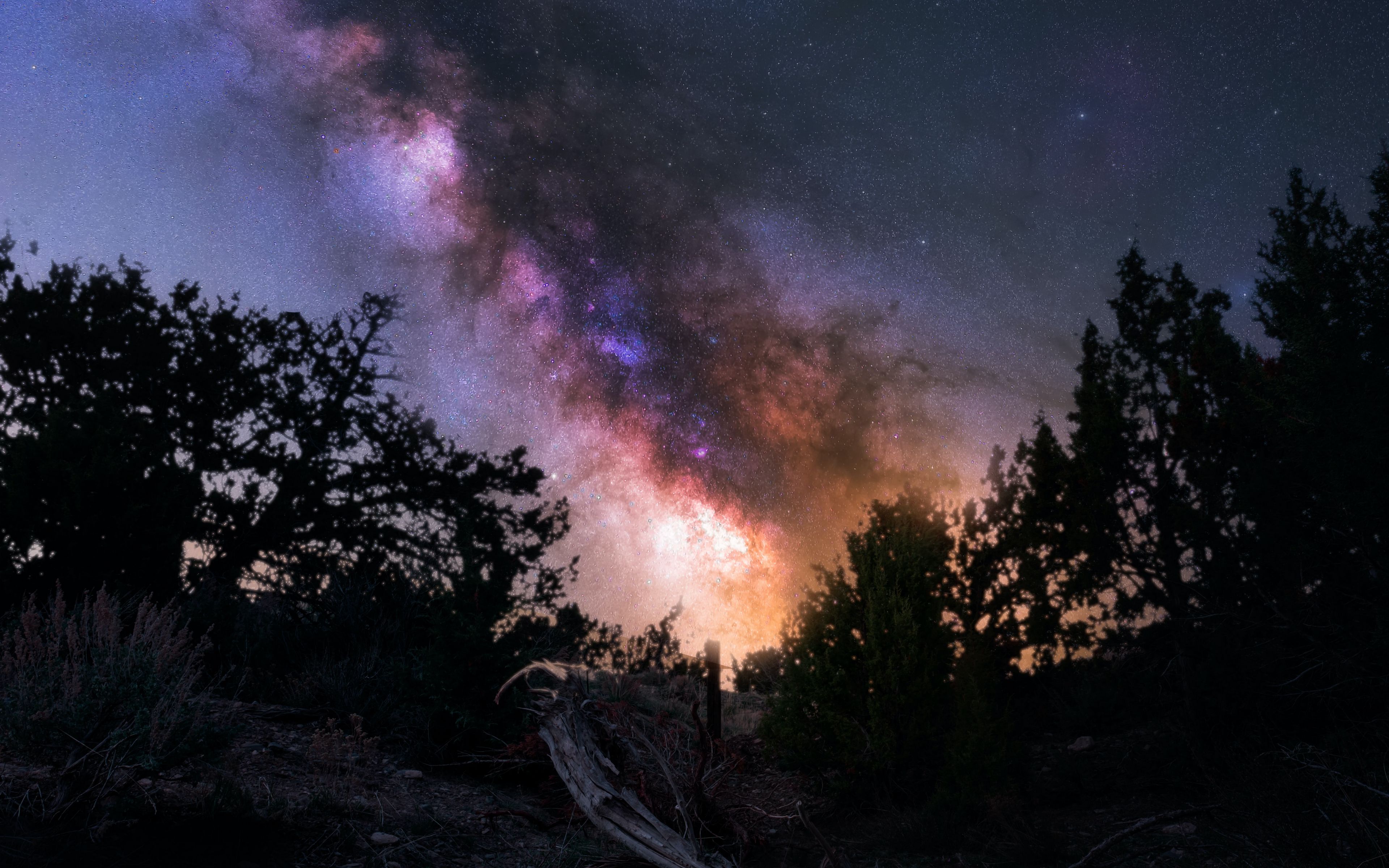 Download wallpaper 3840x2400 nebula, space, trees, night 4k ultra hd 16 ...