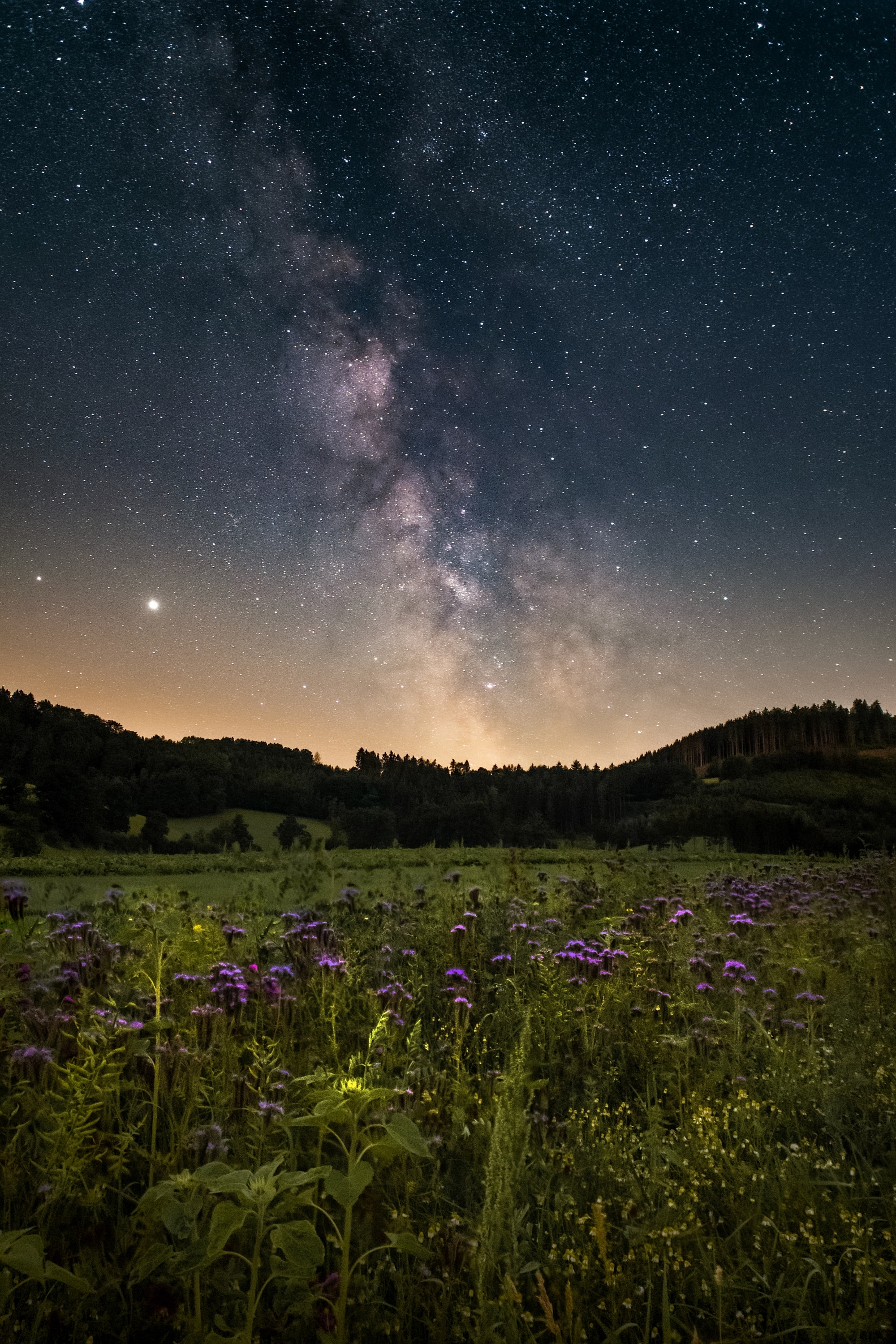 Download wallpaper 2000x3000 nebula, starry sky, field, flowers, night ...