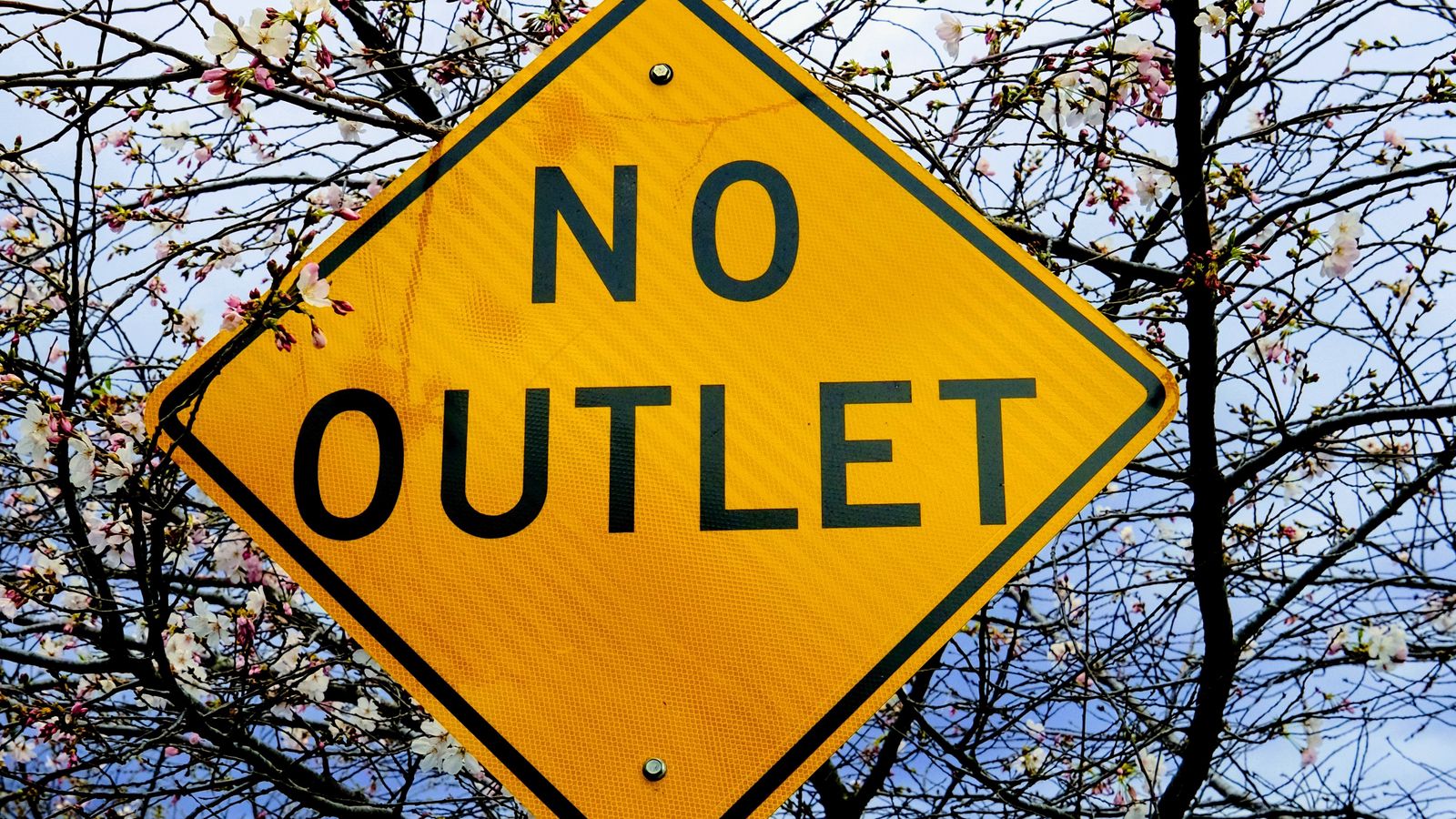 Download wallpaper 1600x900 no outlet, sign, bloom widescreen 16:9 hd ...