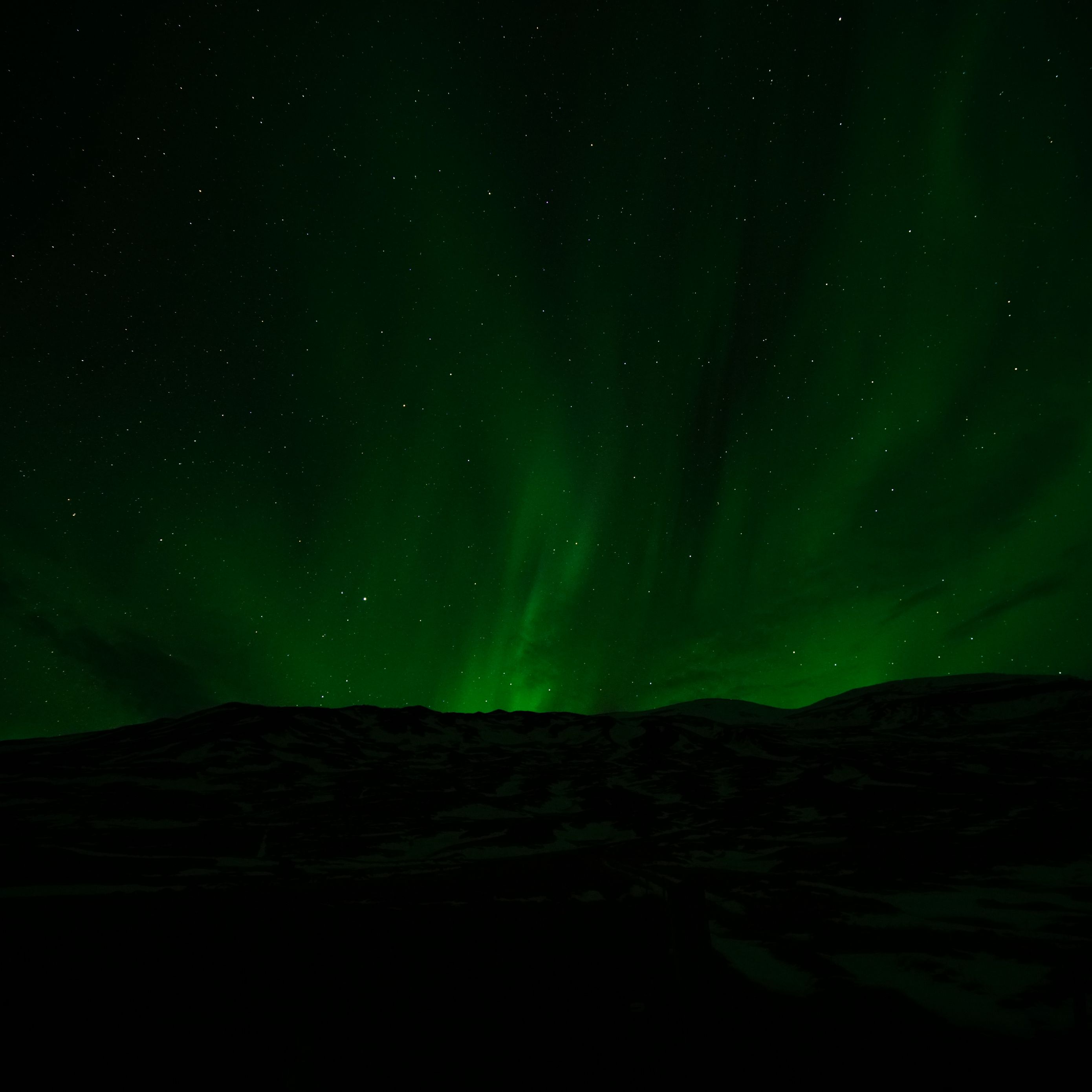 Download wallpaper 2780x2780 northern lights, aurora, starry sky, night ... Download wallpaper 2780x2780 northern lights, aurora, starry sky, night ...