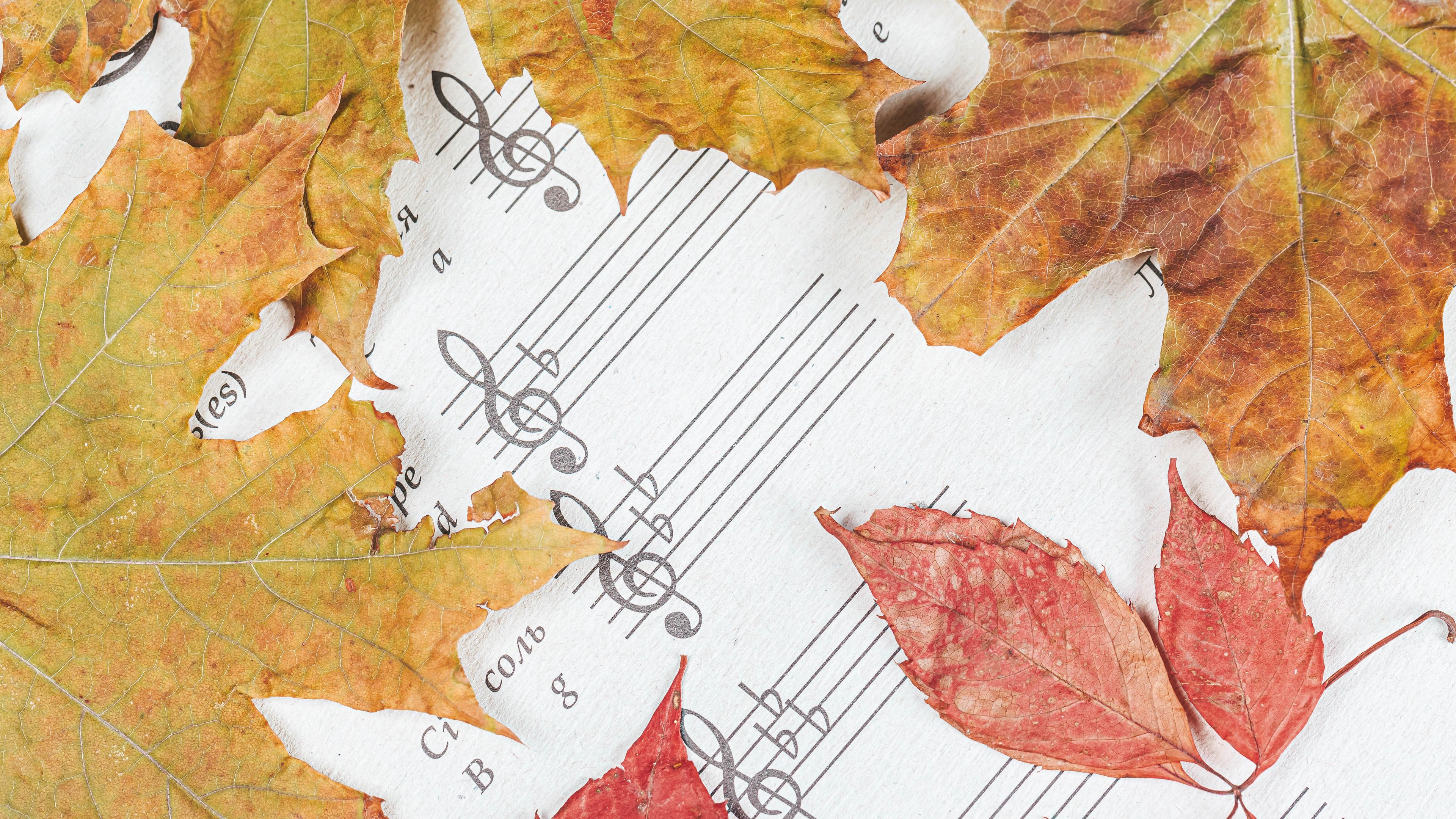 Download wallpaper 3840x2160 notes, letters, leaves, autumn 4k uhd 16:9 ...