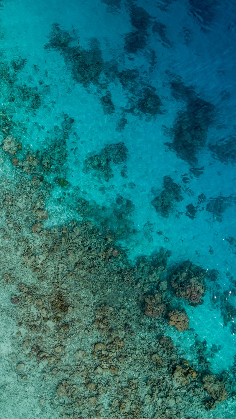 Download wallpaper 800x1420 ocean, sea, top view, water, ripples ...