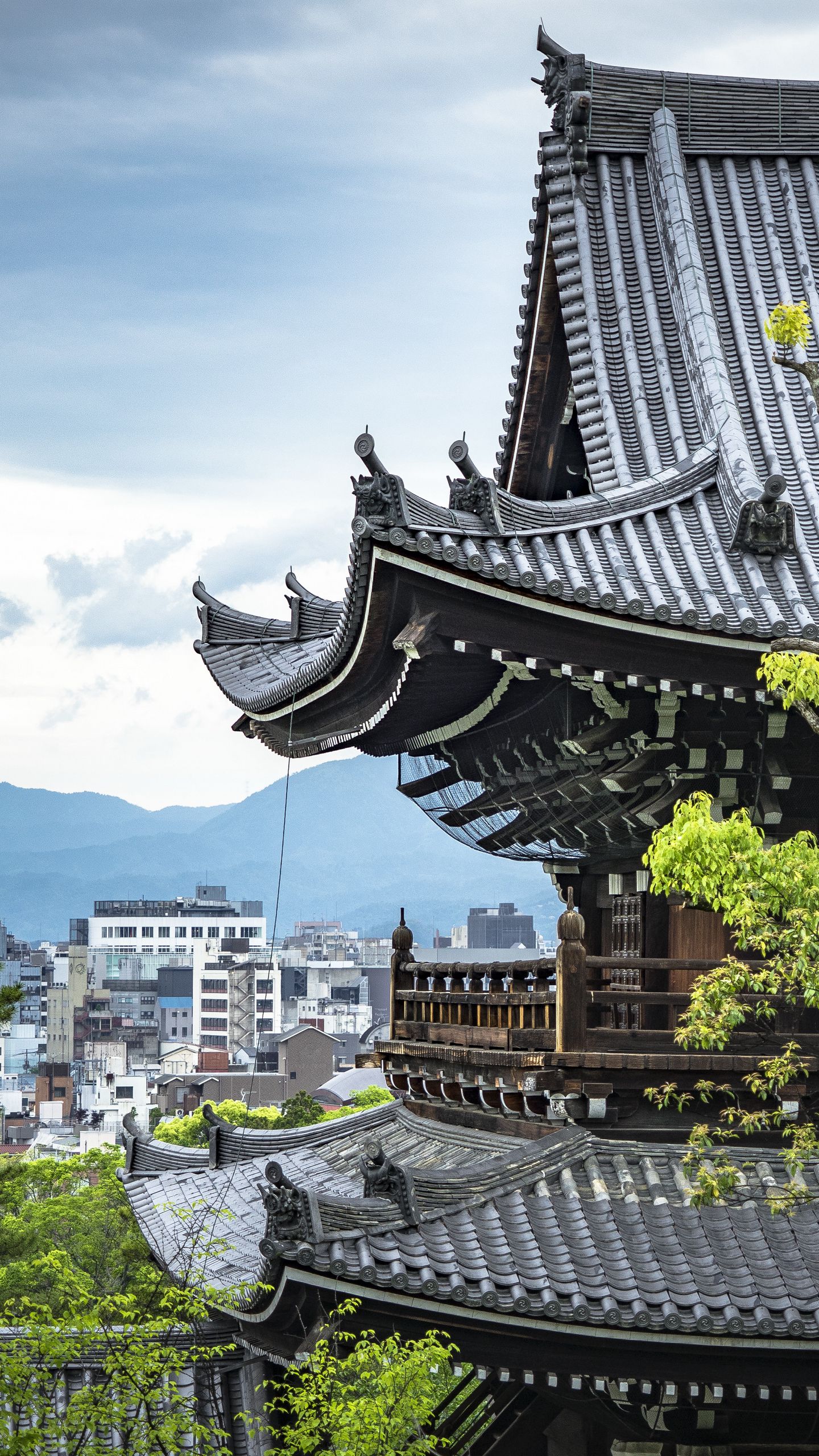 Download wallpaper 1440x2560 pagoda, buildings, architecture, branches ...