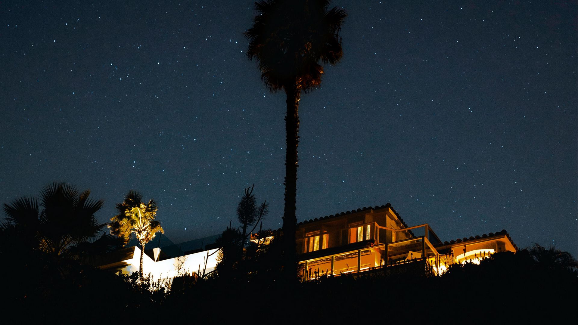 Download wallpaper 1920x1080 palm tree, house, night, starry sky, dark ...