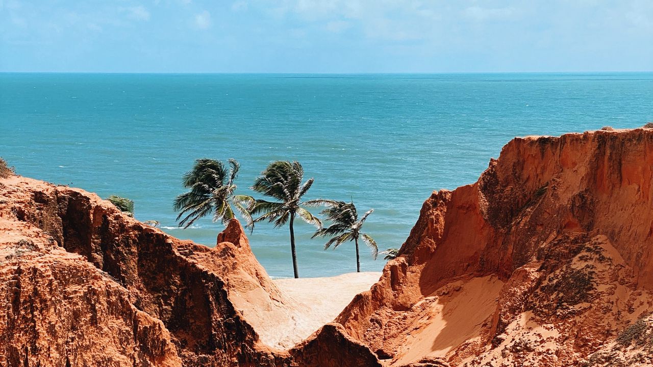 Wallpaper palm trees, rocks, sea, shore, summer, landscape hd, picture ...