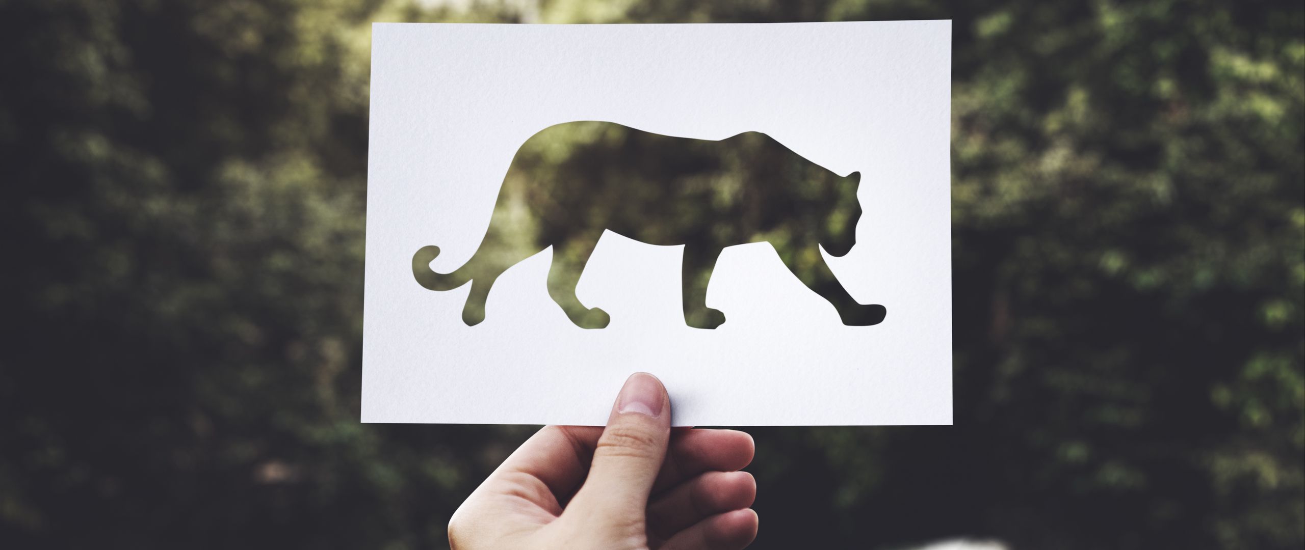 Download wallpaper 2560x1080 paper, predator, art, hand dual wide 1080p ...
