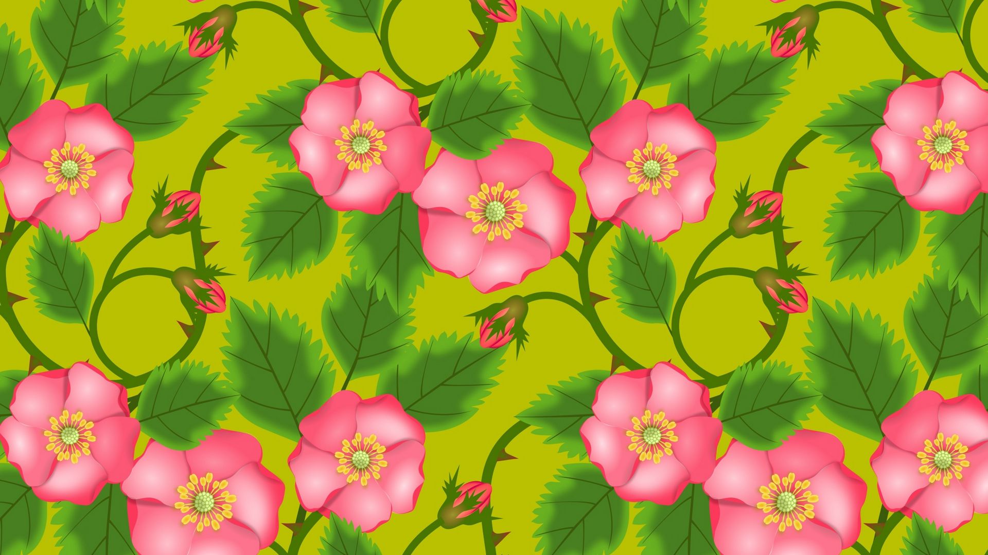 Download wallpaper 1920x1080 patterns, flowers, pink, green full hd ...