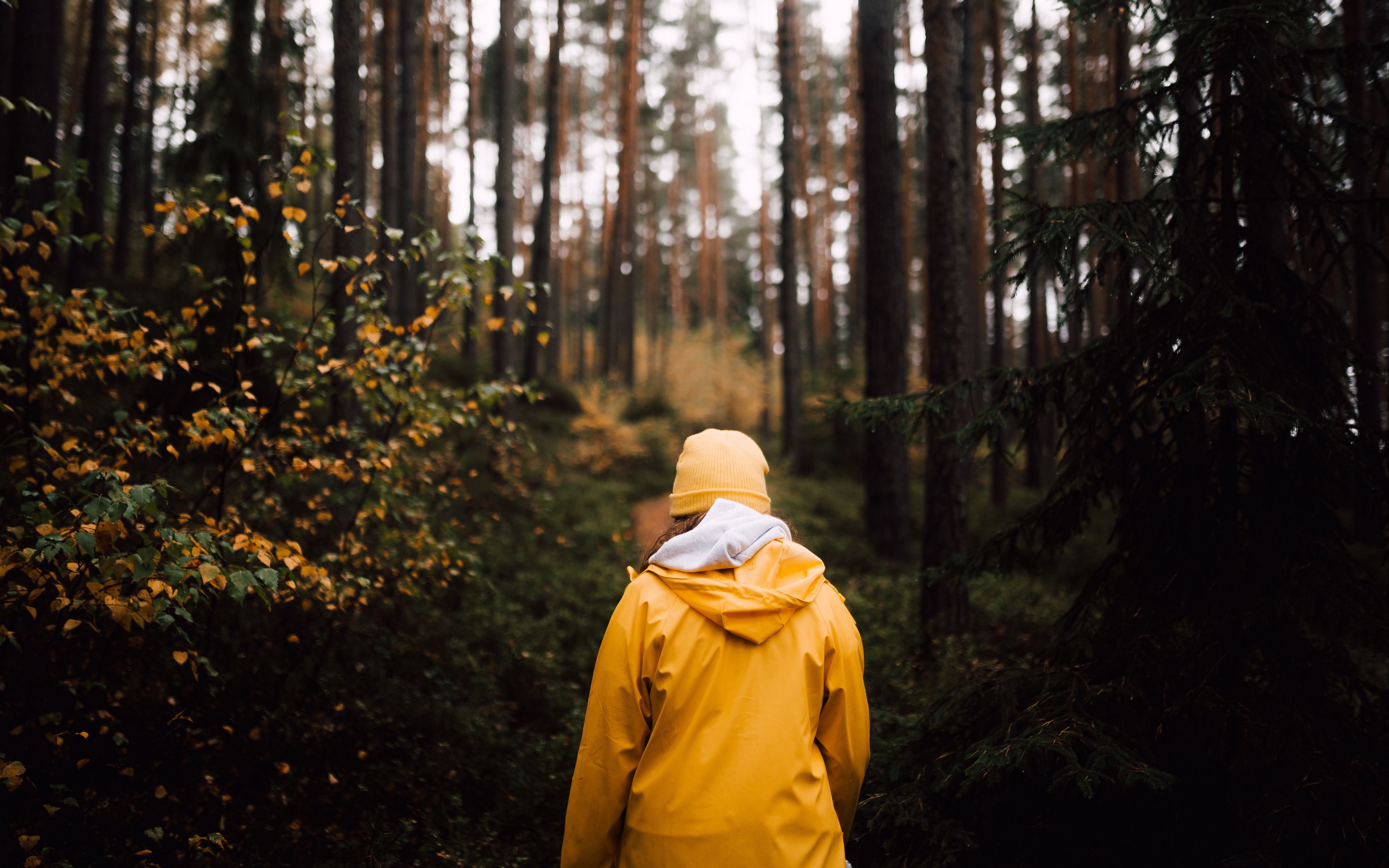 Download wallpaper 3840x2400 man, forest, walk, yellow, nature 4k ultra ...