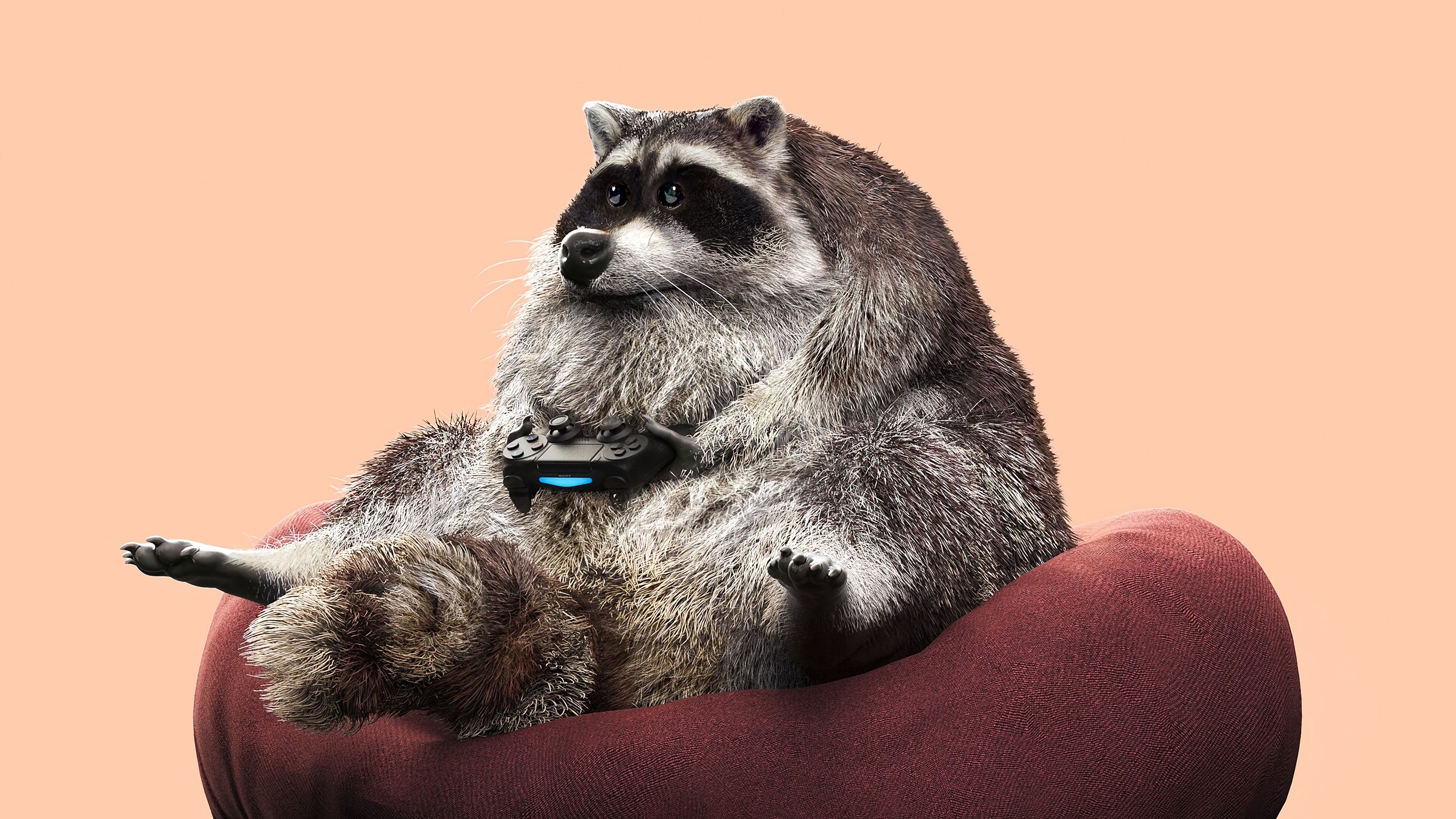 Download wallpaper 3840x2160 raccoon, joystick, funny, gamepad, game 4k ...