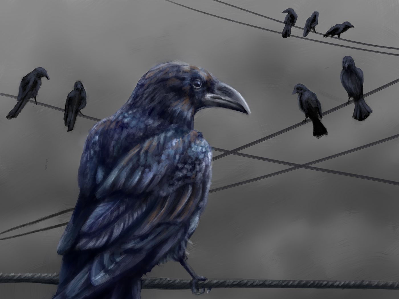 Download wallpaper 1400x1050 raven, bird, feathers, wire standard 4:3 ...