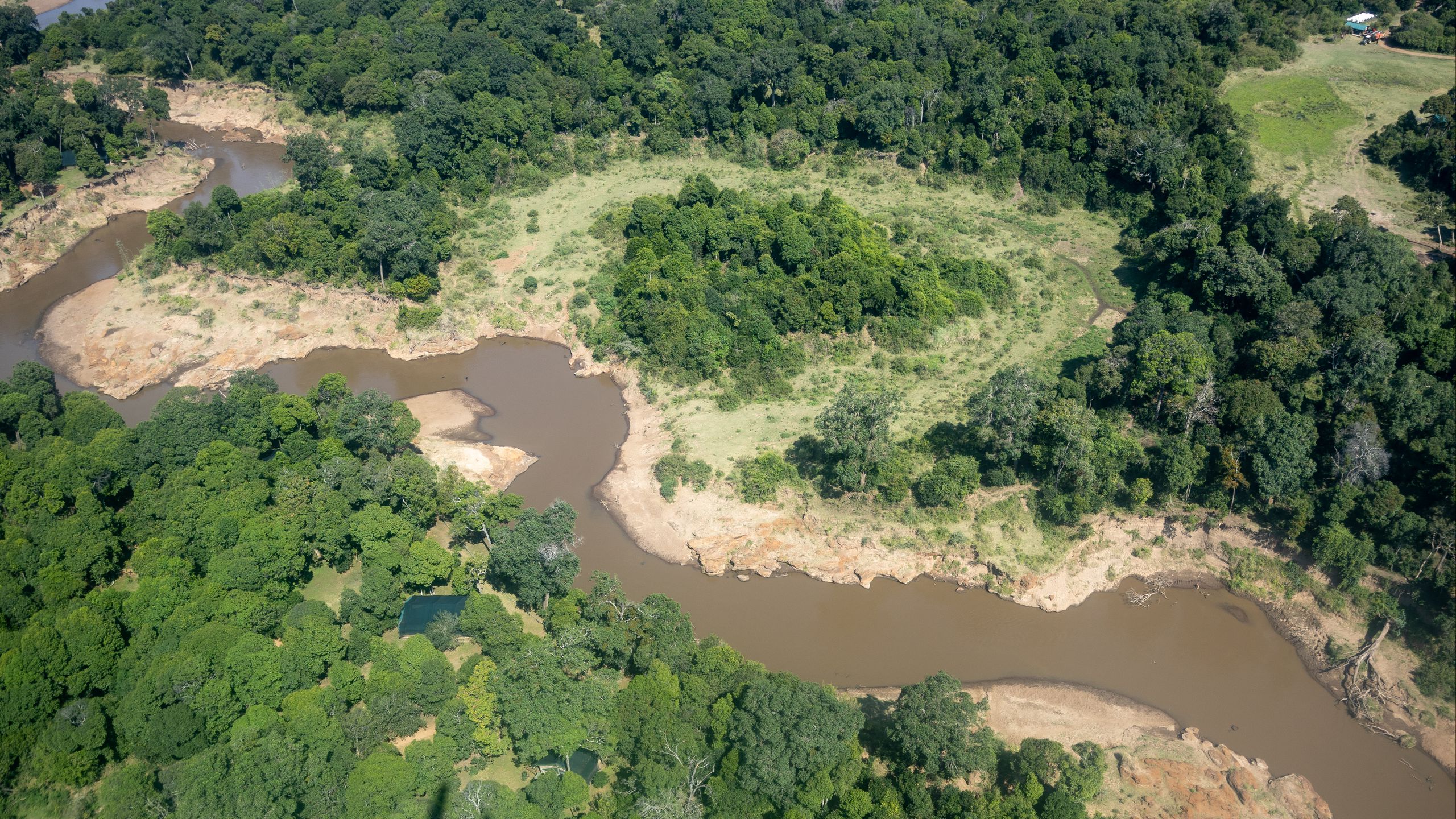 Download wallpaper 2560x1440 river, banks, trees, aerial view ...