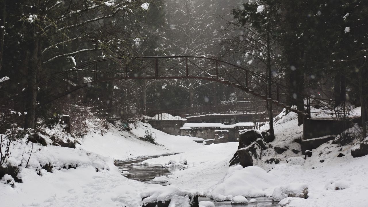 Wallpaper river, bridge, snow, trees, winter hd, picture, image