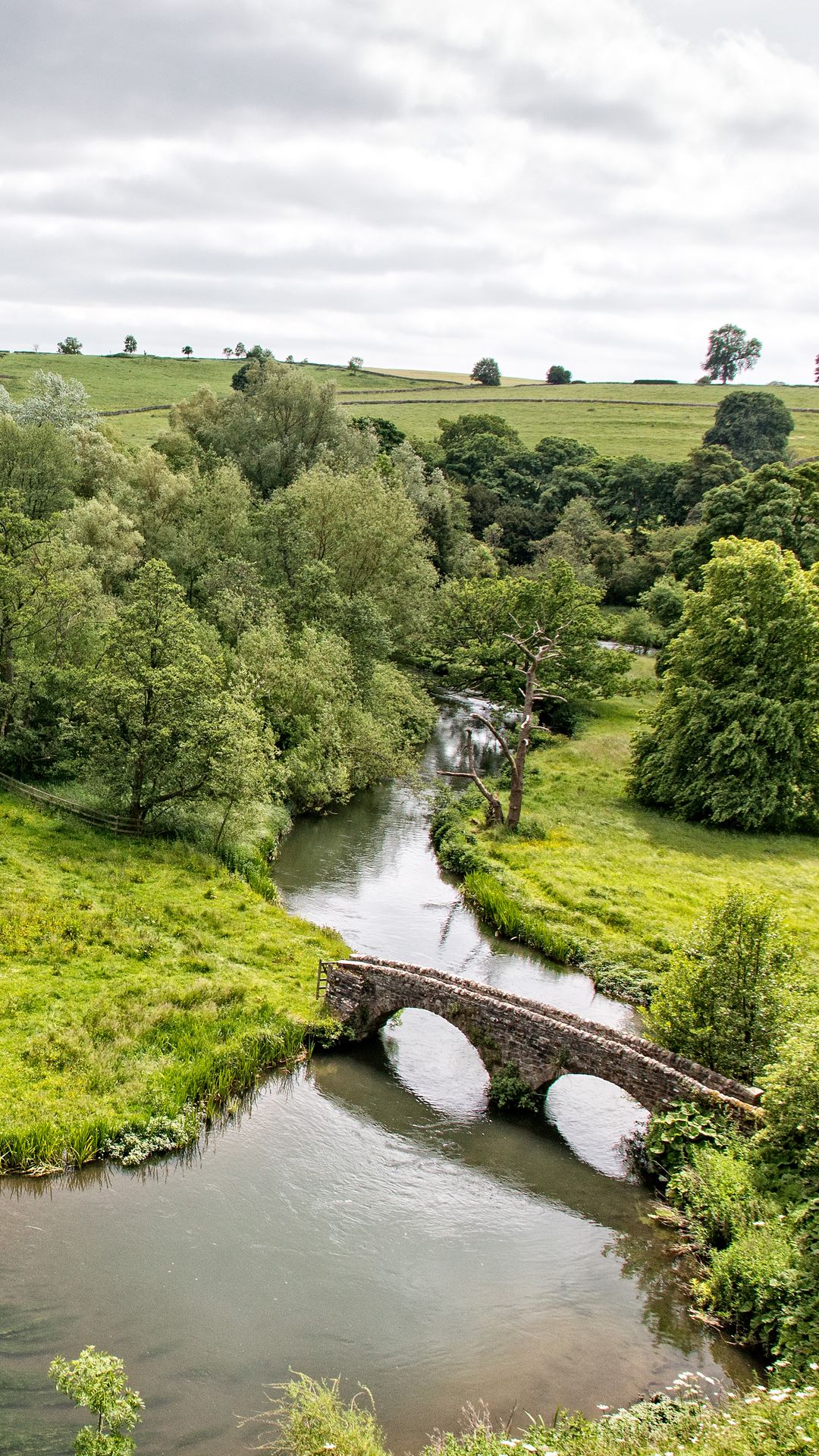 Download wallpaper 1080x1920 river, bridge, trees, landscape, aerial ...